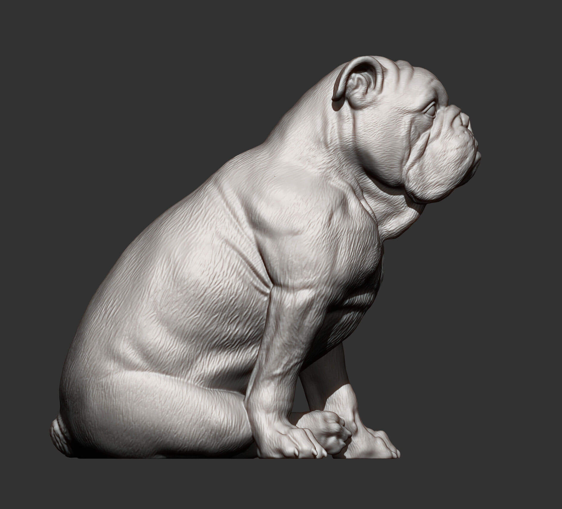 English Bulldog 3D Print Model by Alexander3dart