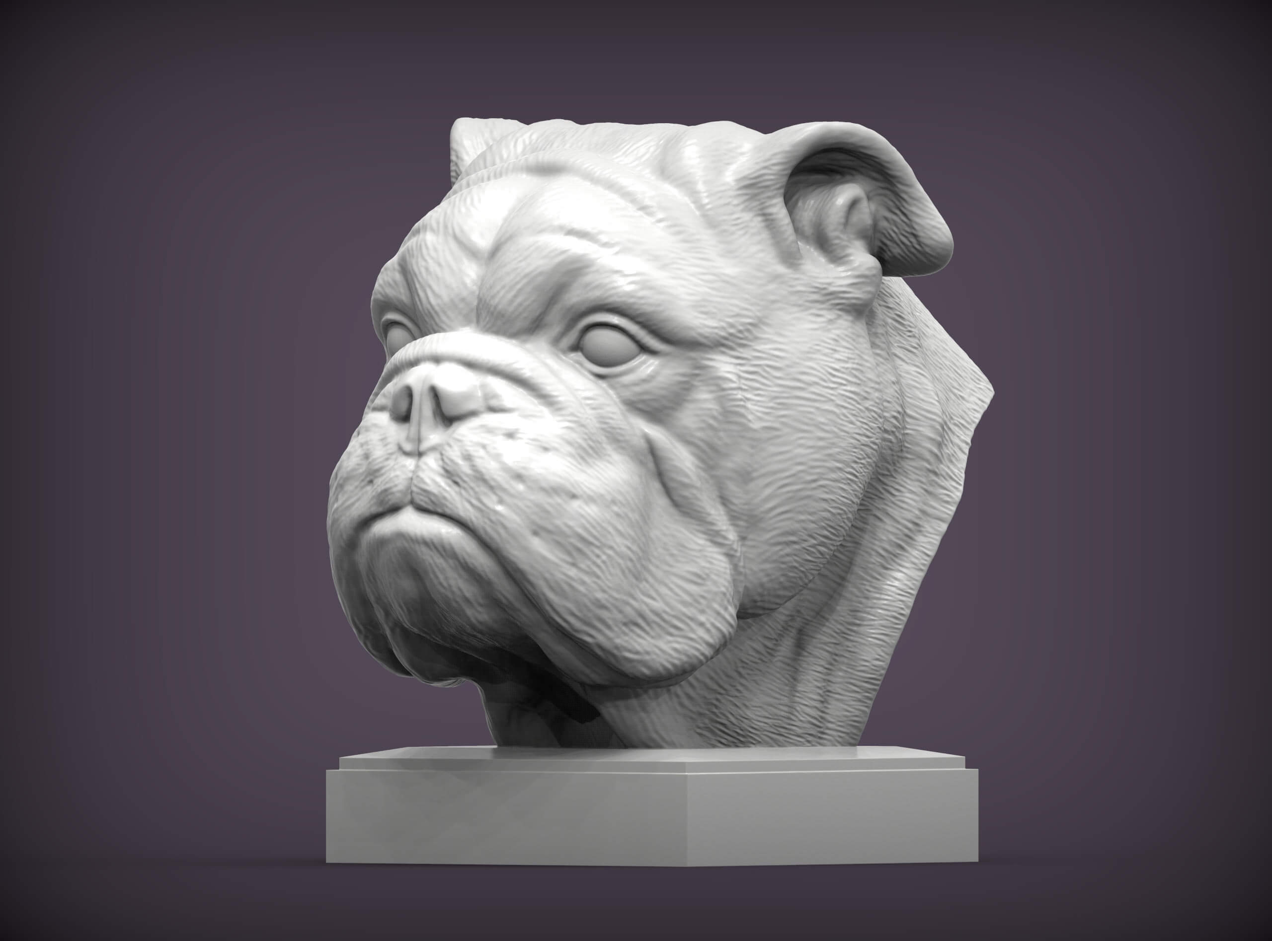 English Bulldog Bust 3D Print Model by Alexander3dart