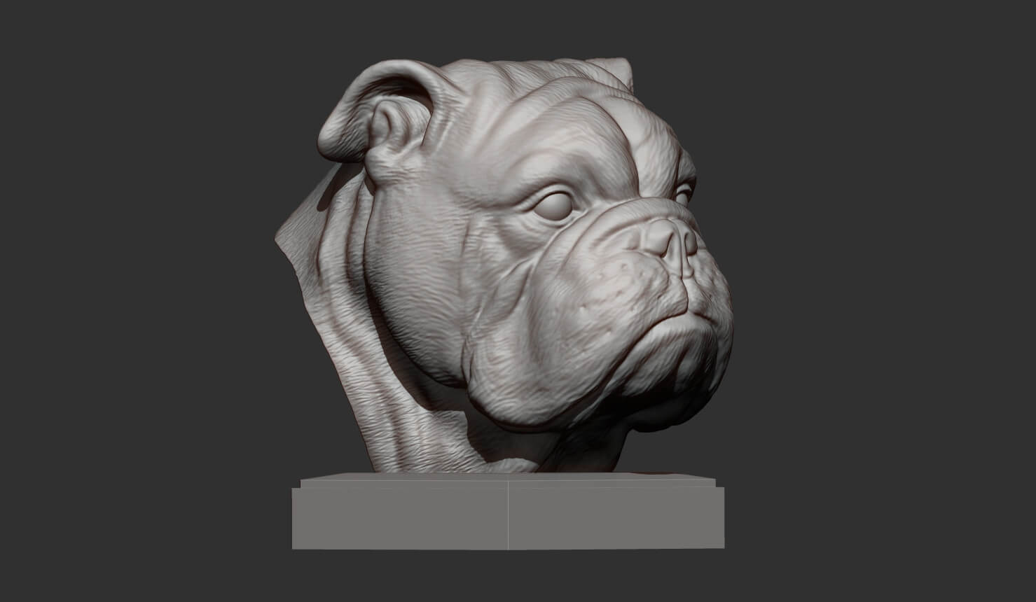 English Bulldog Bust 3D Print Model by Alexander3dart