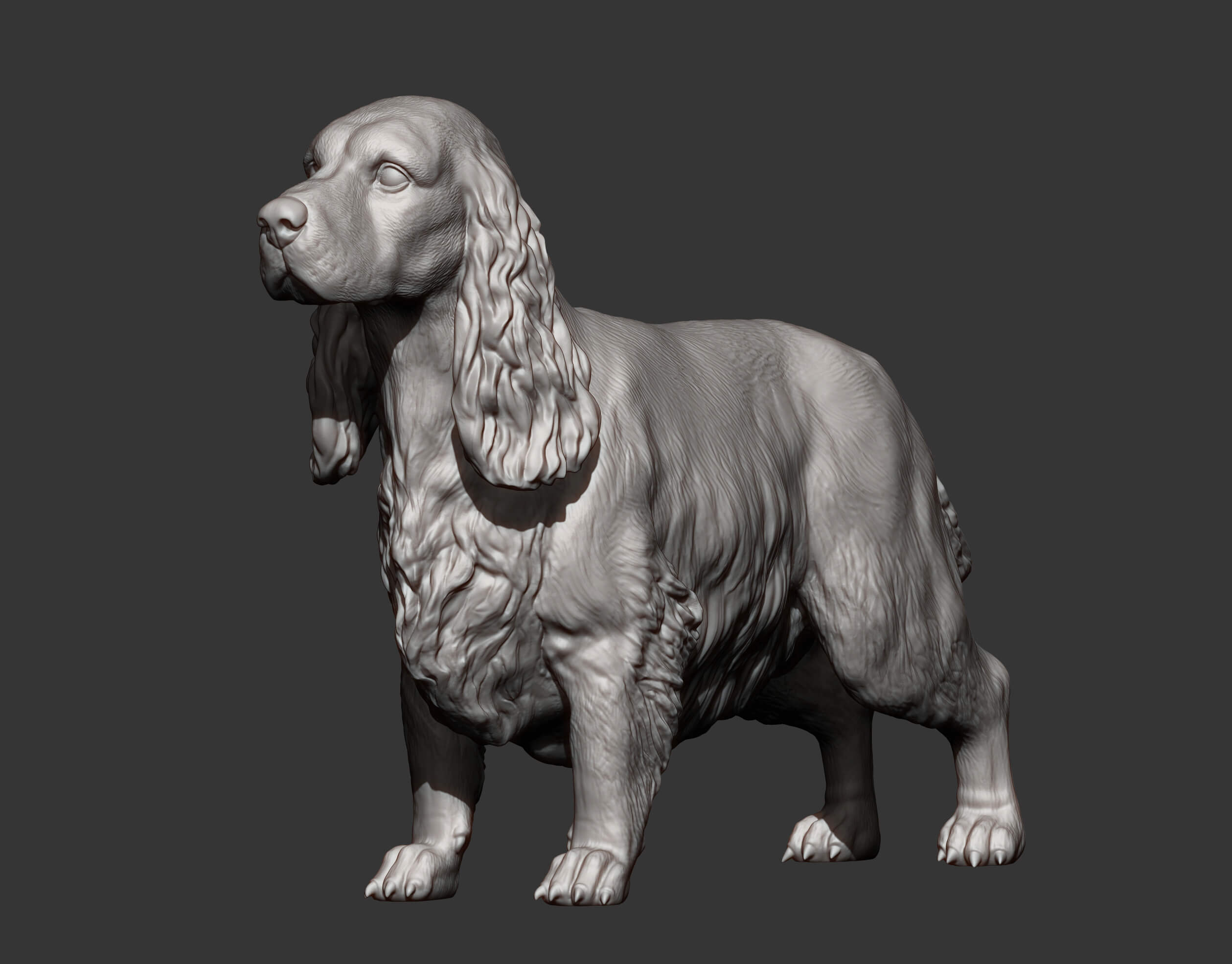 English Cocker Spaniel - 3D Model by Alexander3dart