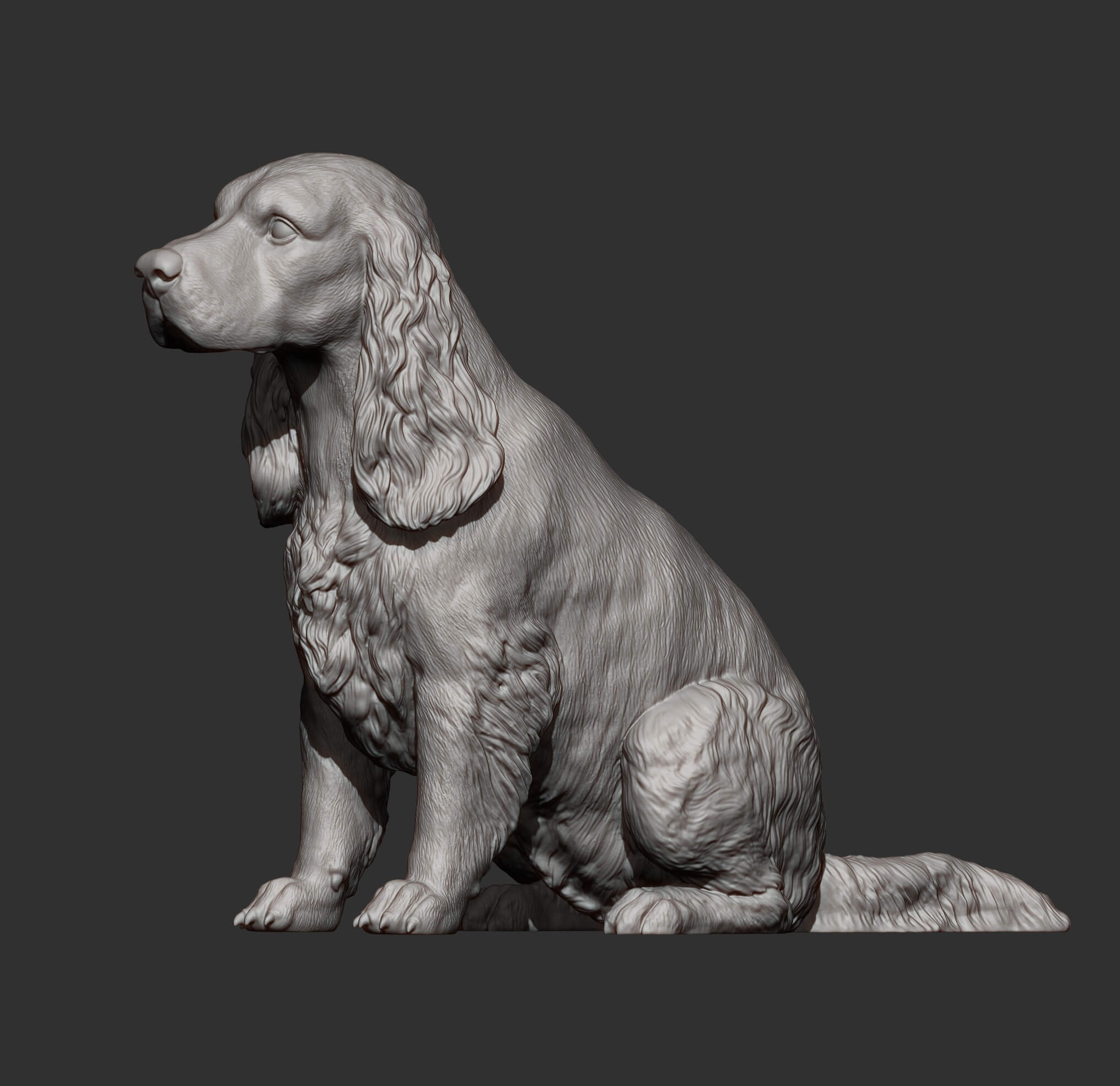 English Cocker Spaniel Sitting - 3D Model by Alexander3dart