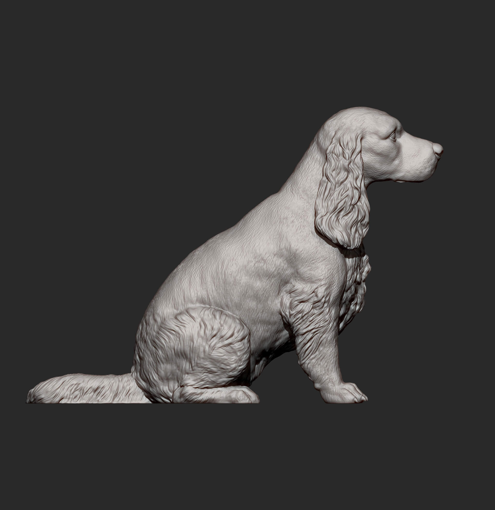 English Cocker Spaniel Sitting - 3D Model by Alexander3dart