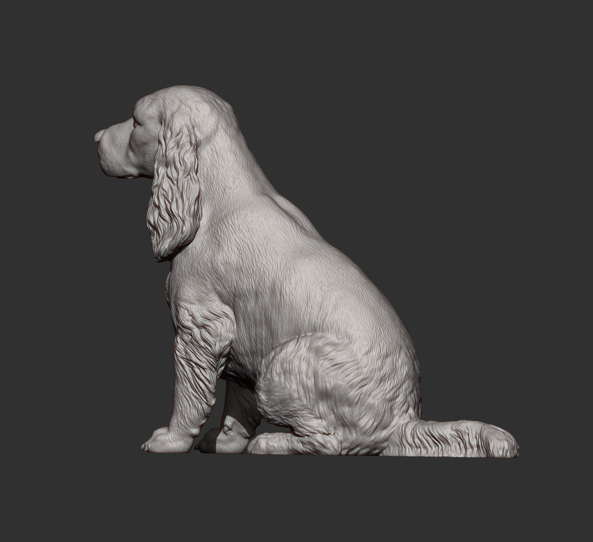 English Cocker Spaniel Sitting - 3D Model by Alexander3dart