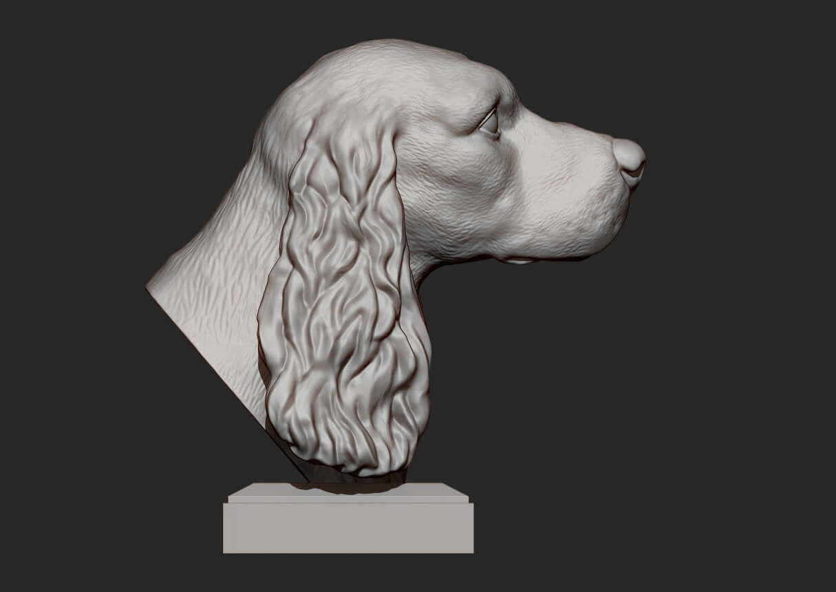English Cocker Spaniel - 3D Model by Alexander3dart