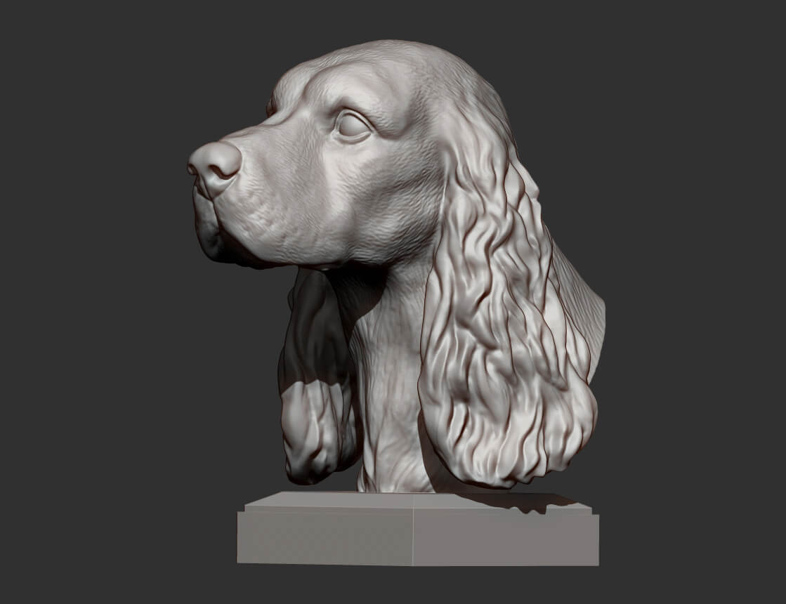 English Cocker Spaniel - 3D Model by Alexander3dart