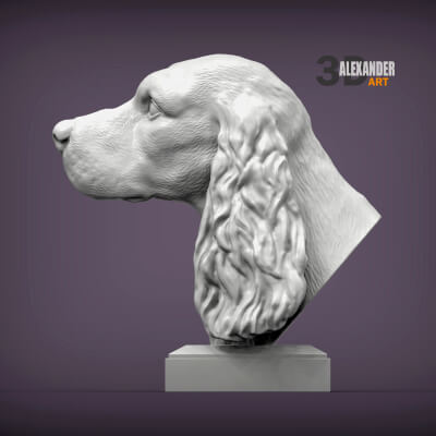 English Cocker Spaniel - 3D Model by Alexander3dart
