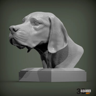 English Pointer Bust - 3D Model by Alexander3dart