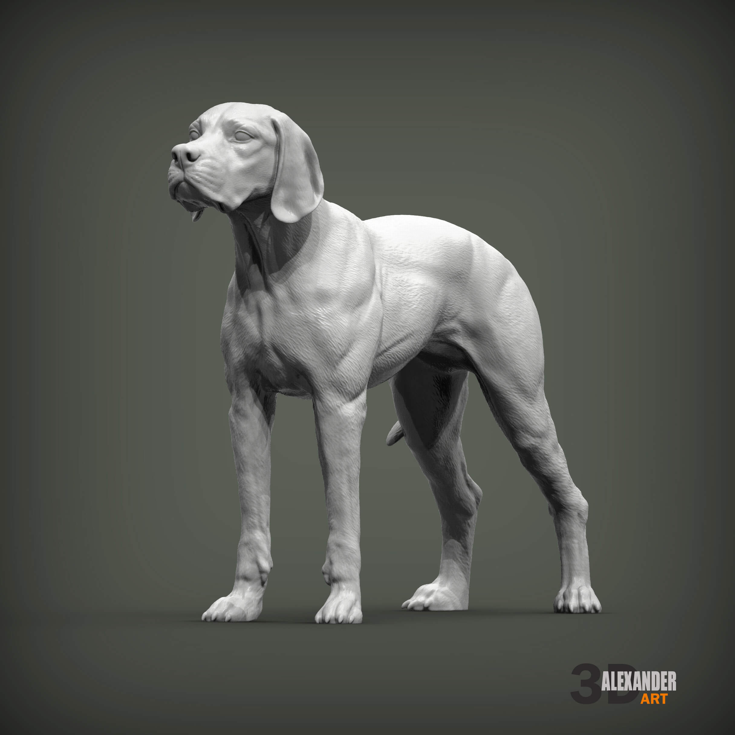 English Pointer - 3D Model by Alexander3dart
