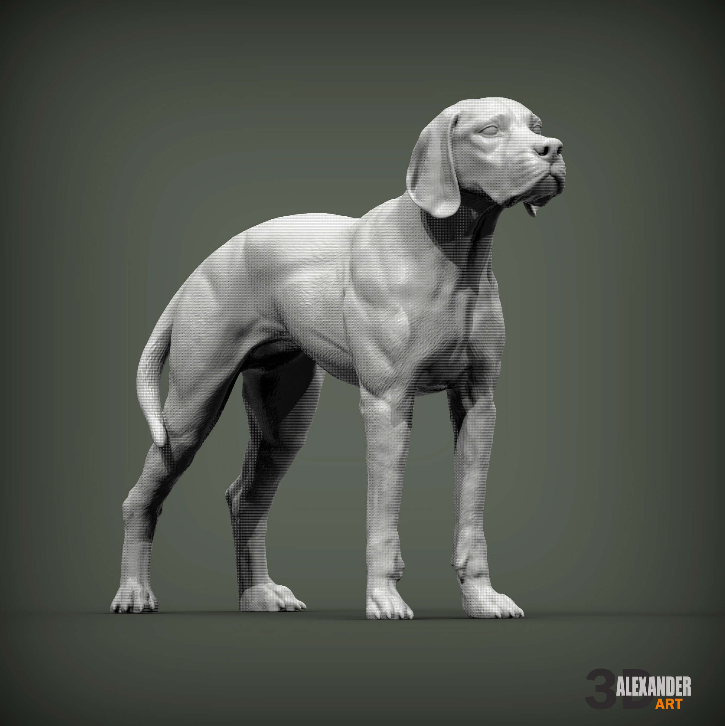 English Pointer - 3D Model by Alexander3dart
