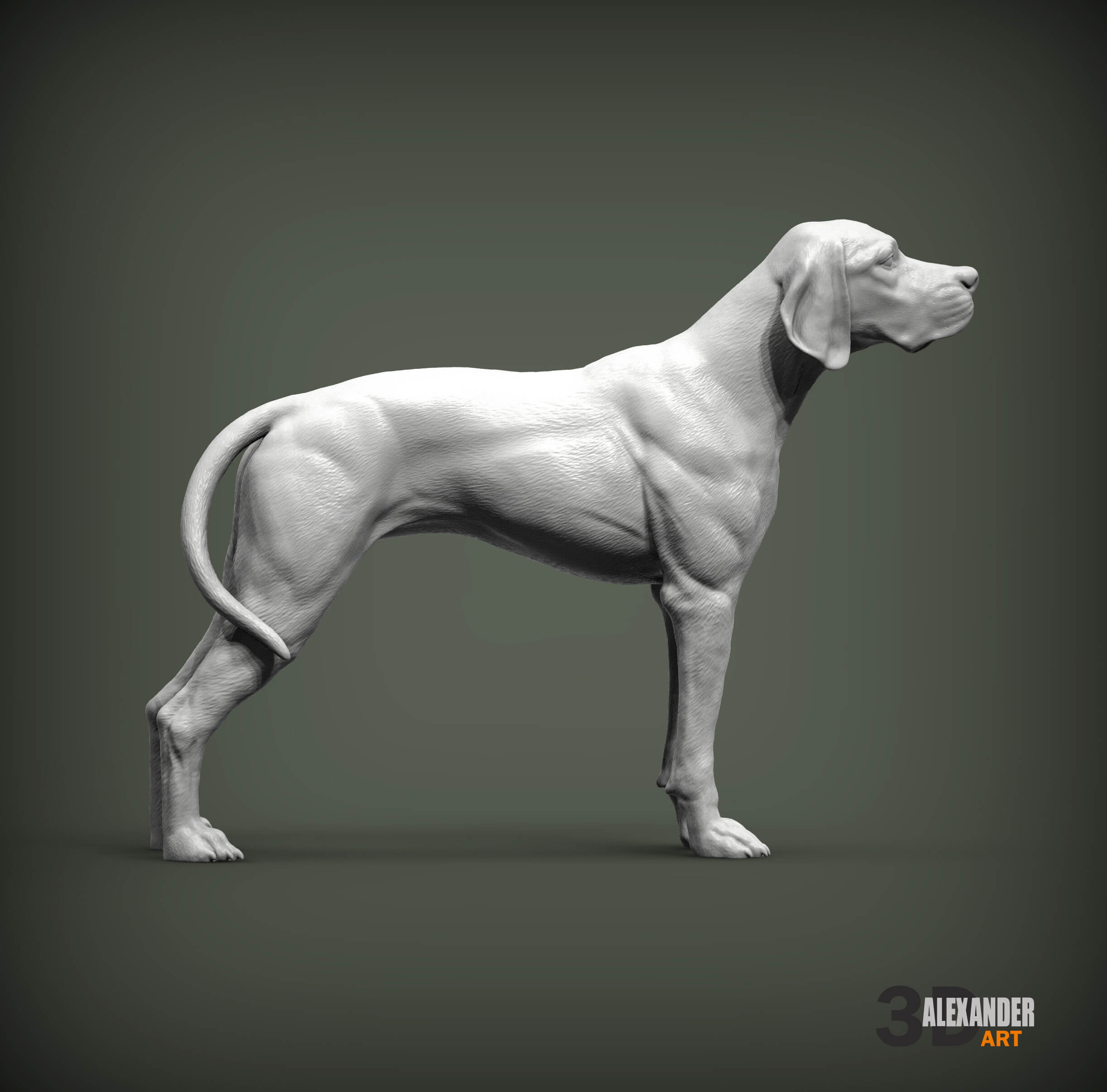 English Pointer - 3D Model by Alexander3dart