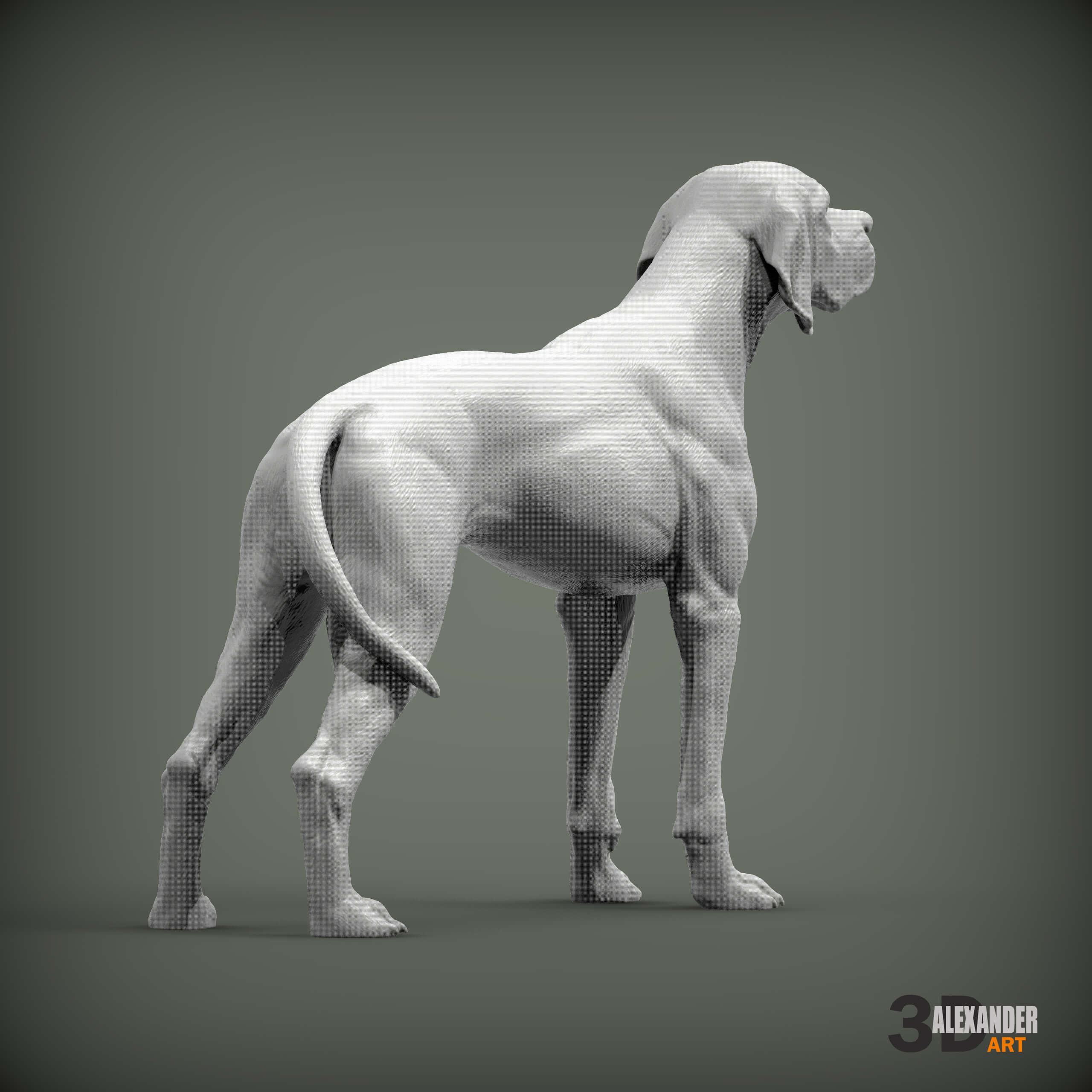 English Pointer - 3D Model by Alexander3dart