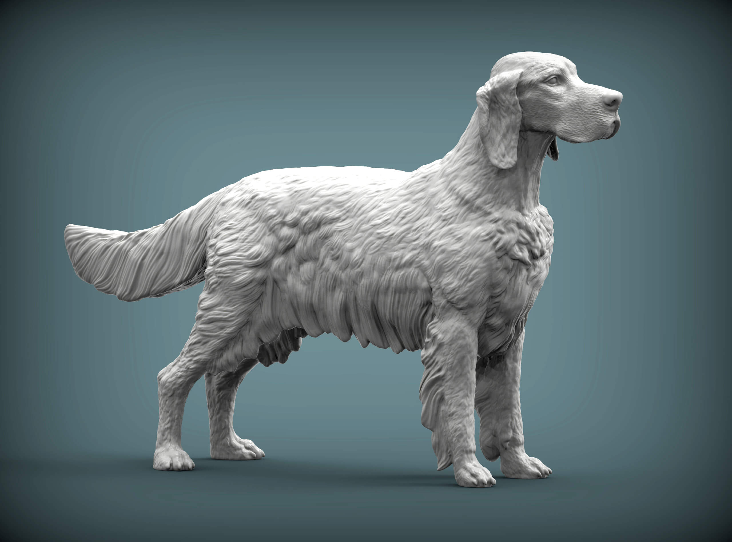 English Setter 3D Print Model by Alexander3dart