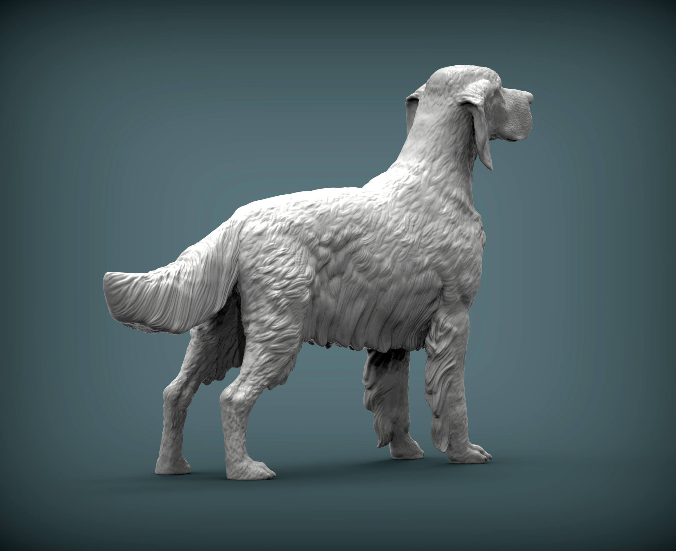English Setter 3D Print Model by Alexander3dart