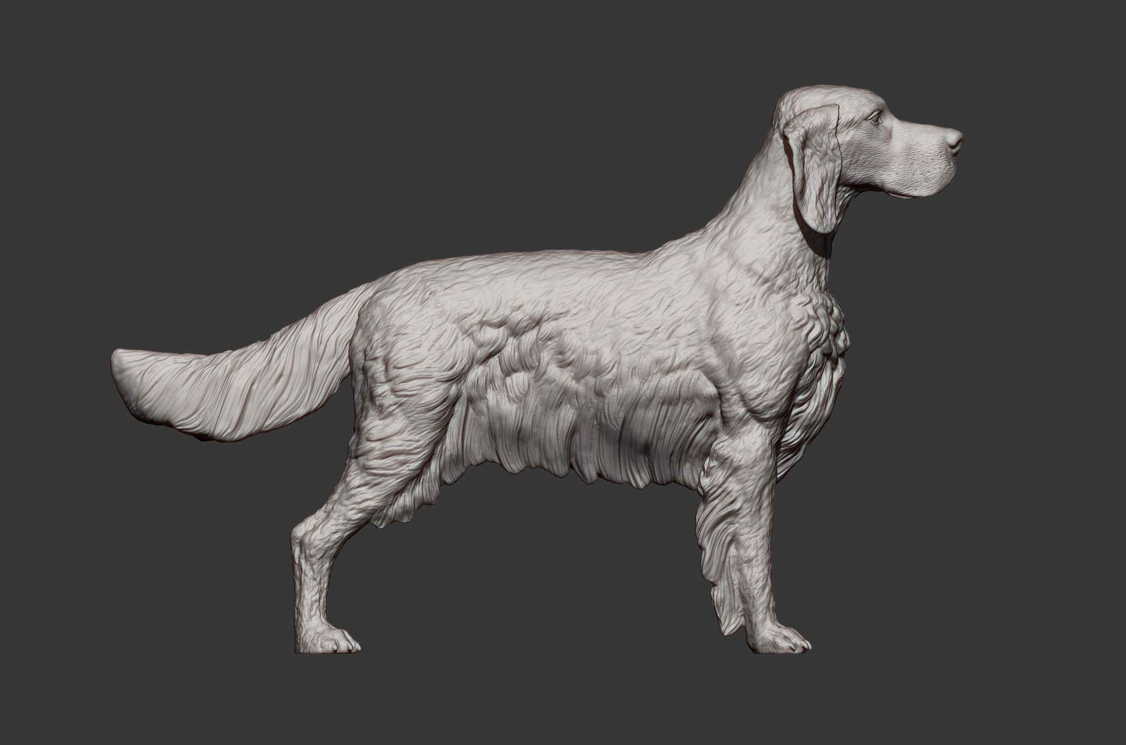 English Setter 3D Print Model by Alexander3dart
