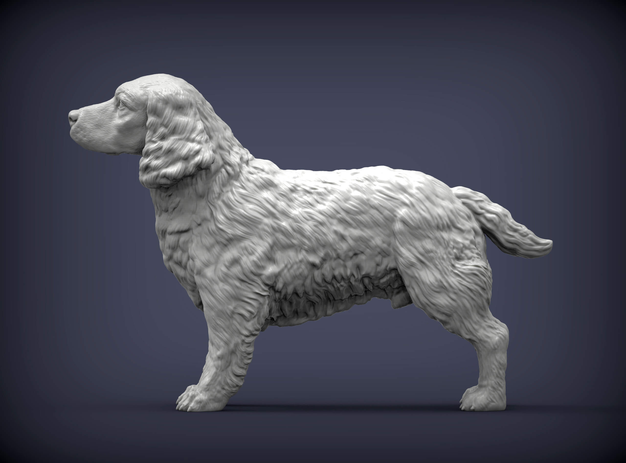 English Springer Spaniel 3D Print Model by Alexander3dart