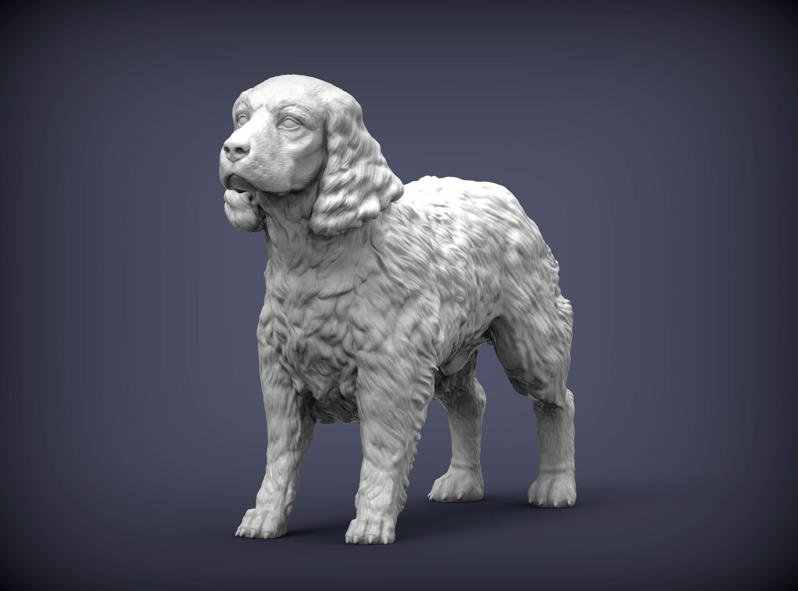 English Springer Spaniel 3D Print Model by Alexander3dart