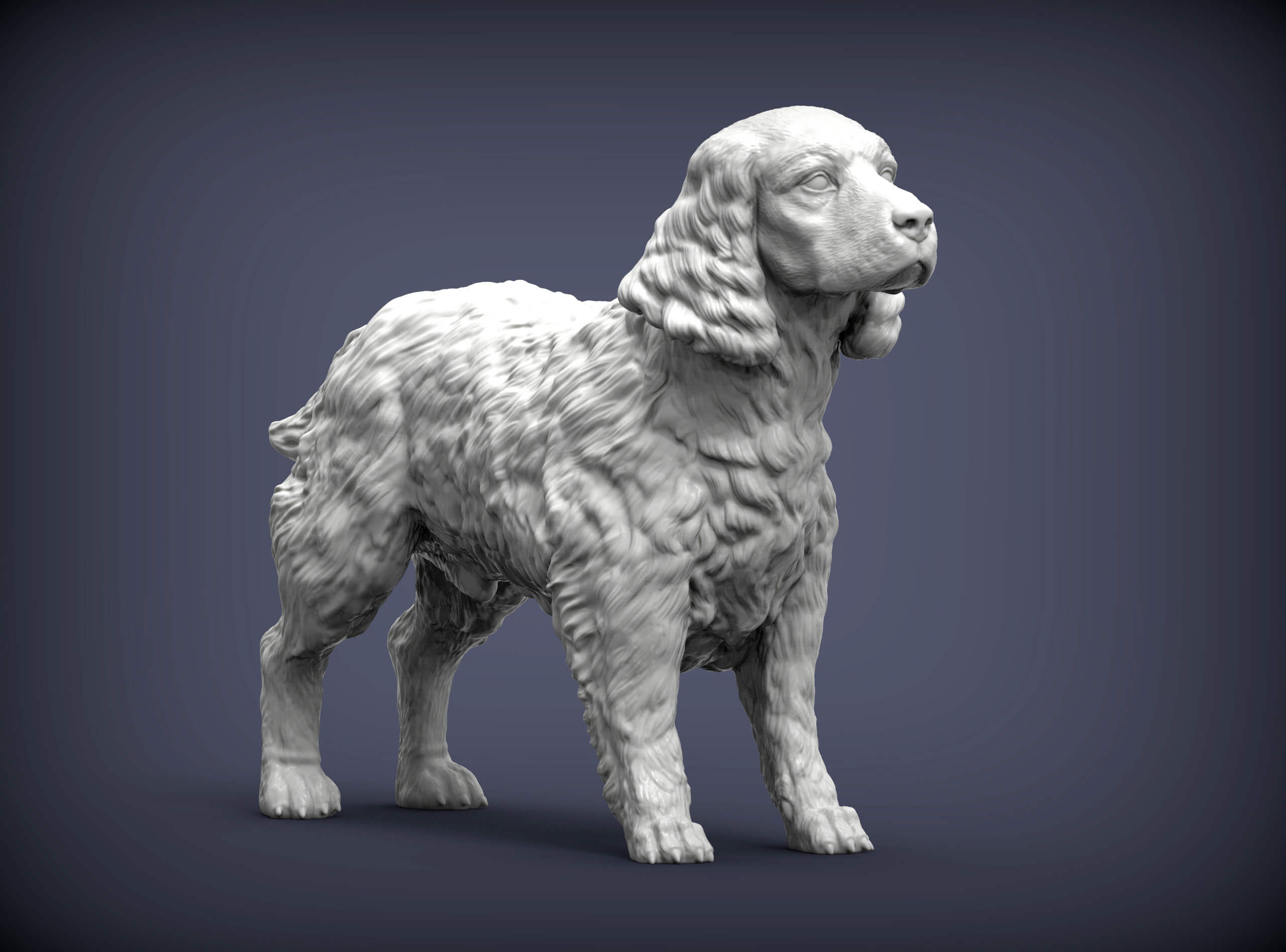 English Springer Spaniel 3D Print Model by Alexander3dart