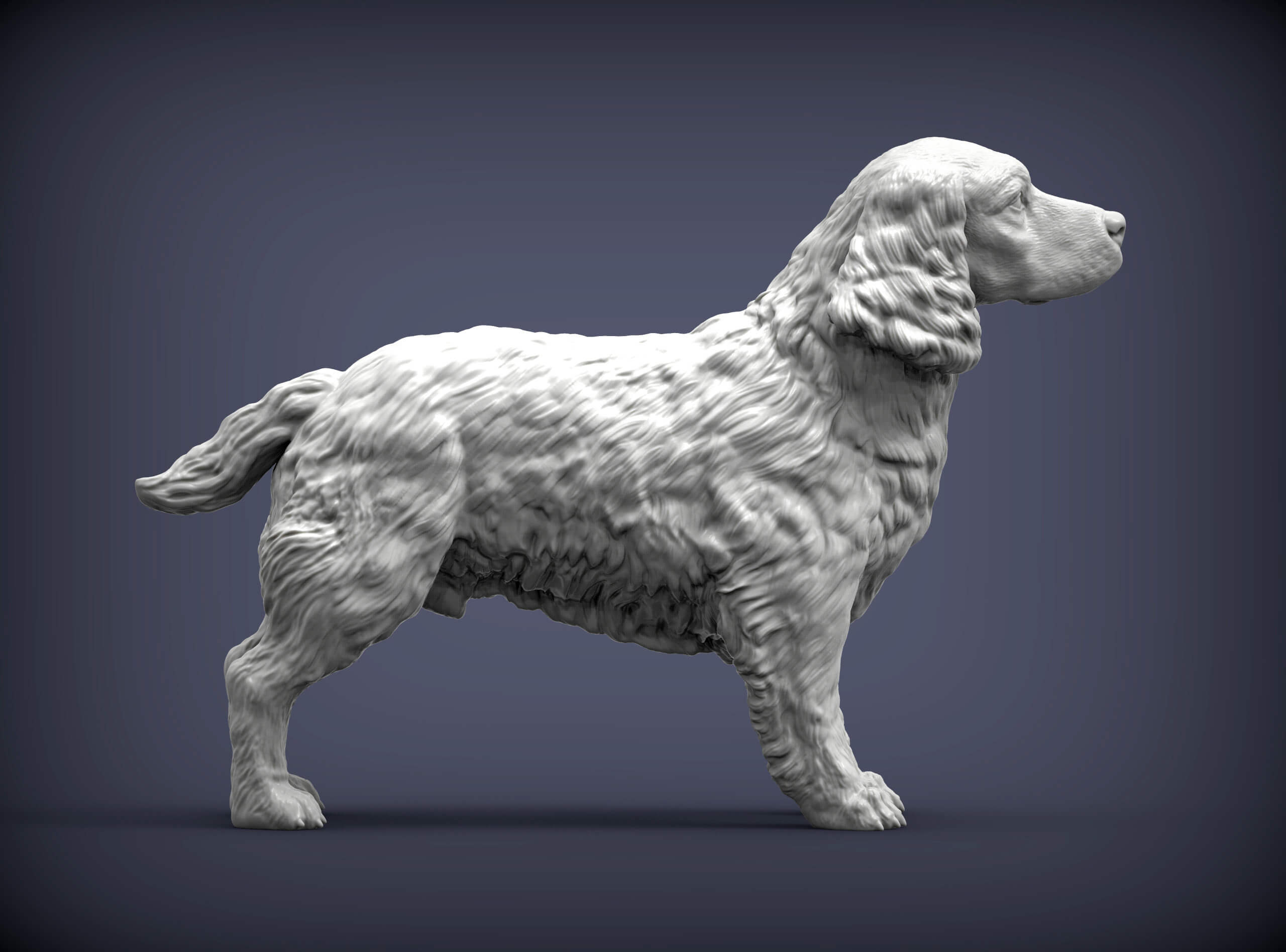English Springer Spaniel 3D Print Model by Alexander3dart