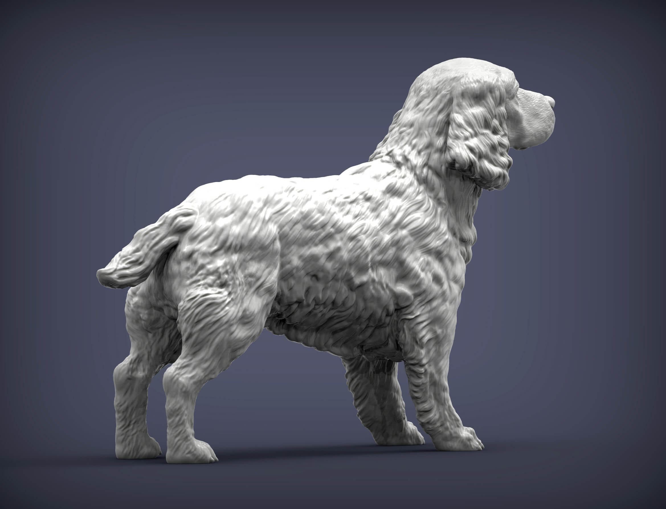 English Springer Spaniel 3D Print Model by Alexander3dart