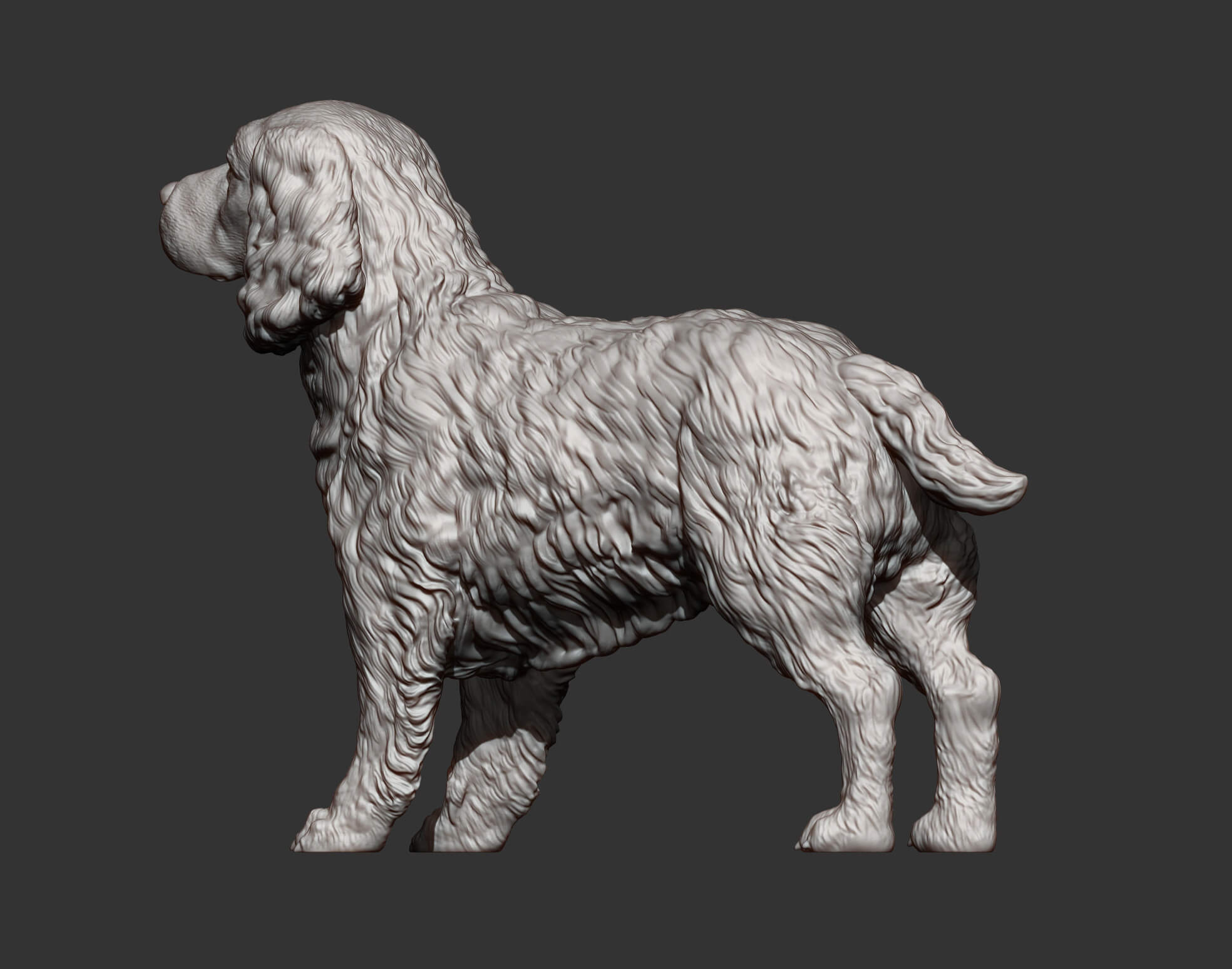English Springer Spaniel 3D Print Model by Alexander3dart