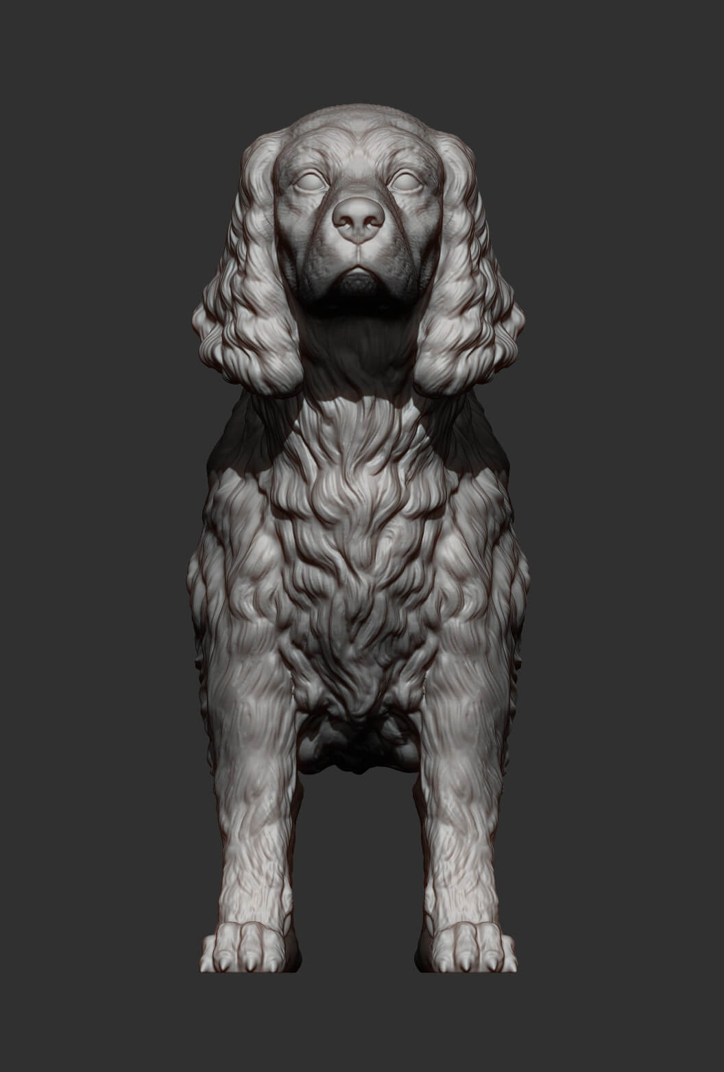 English Springer Spaniel 3D Print Model by Alexander3dart