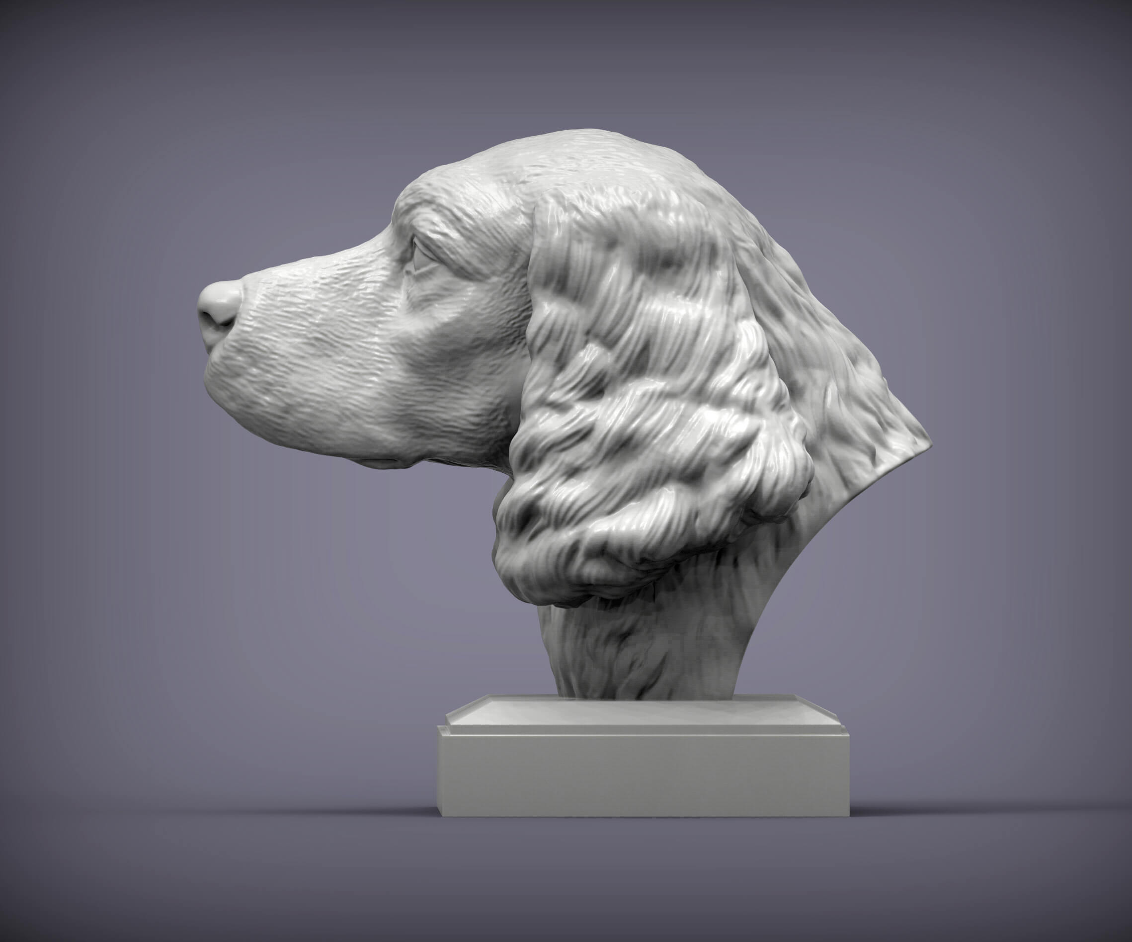 English Springer Spaniel - 3D Model by Alexander3dart