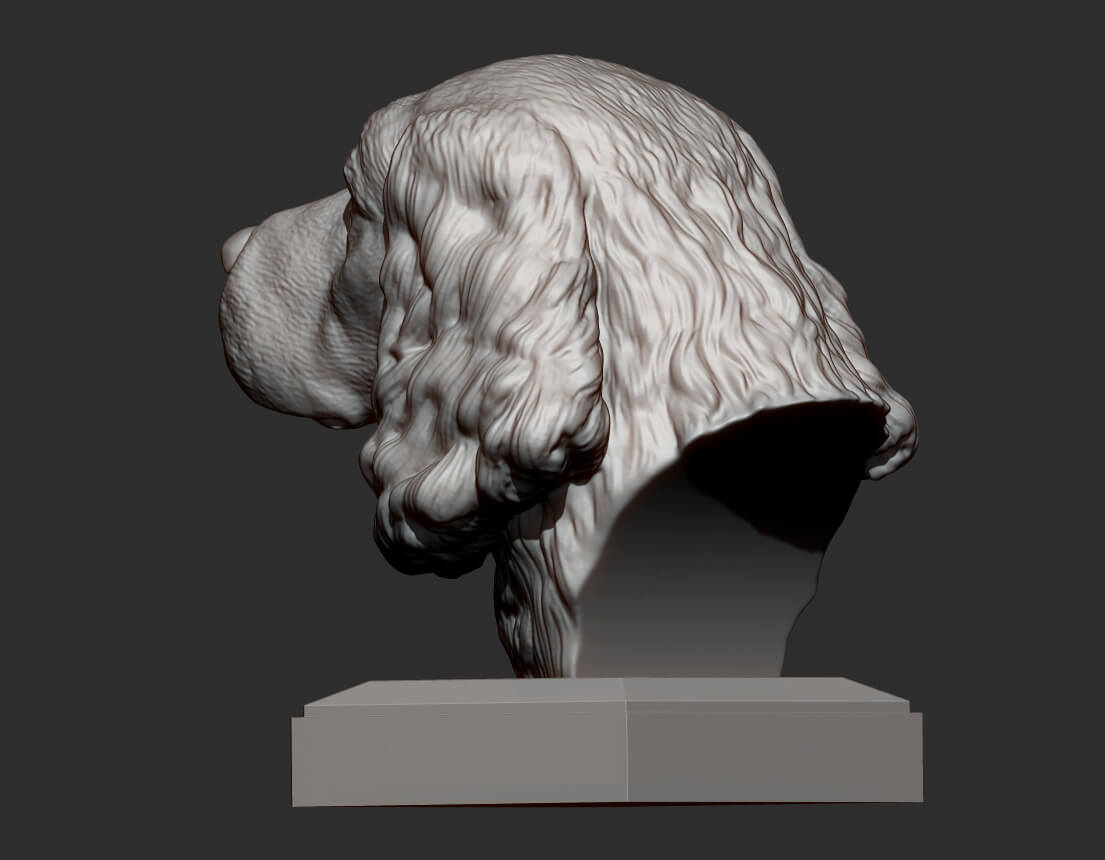 English Springer Spaniel - 3D Model by Alexander3dart