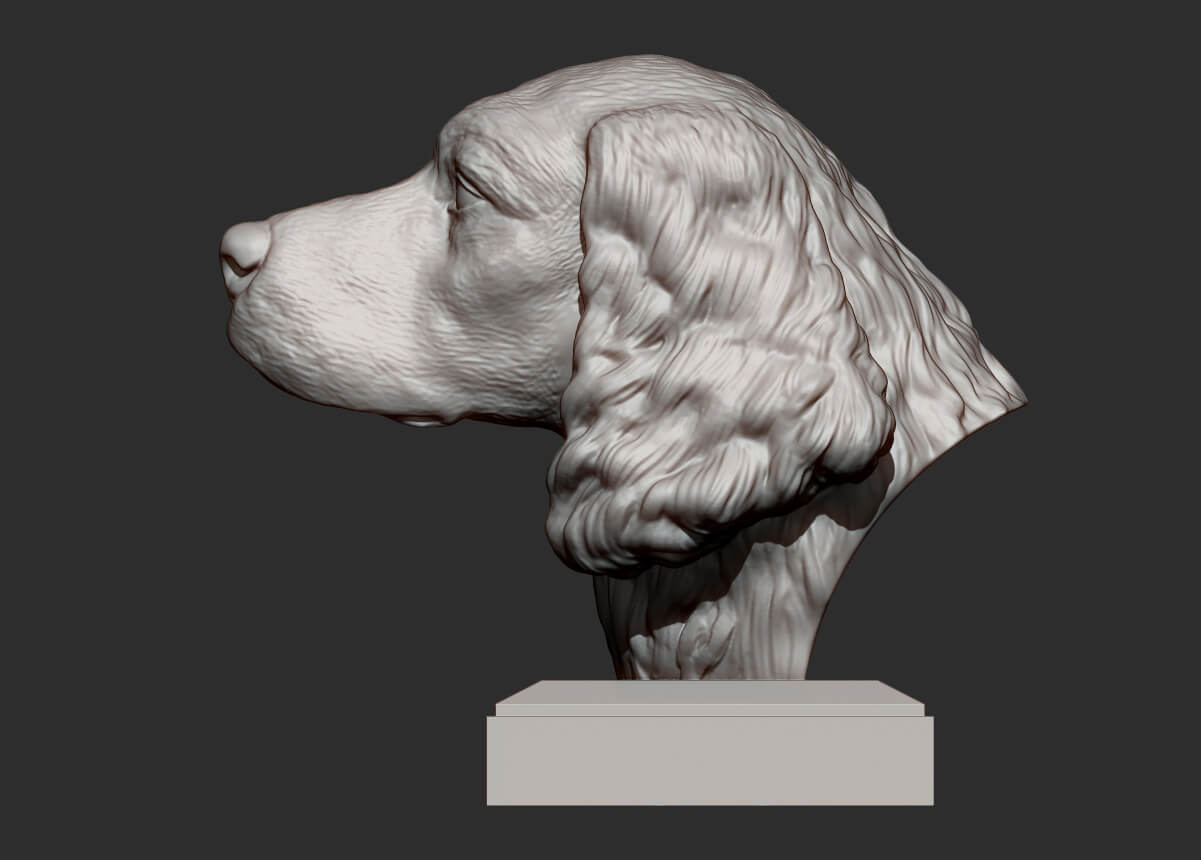 English Springer Spaniel - 3D Model by Alexander3dart