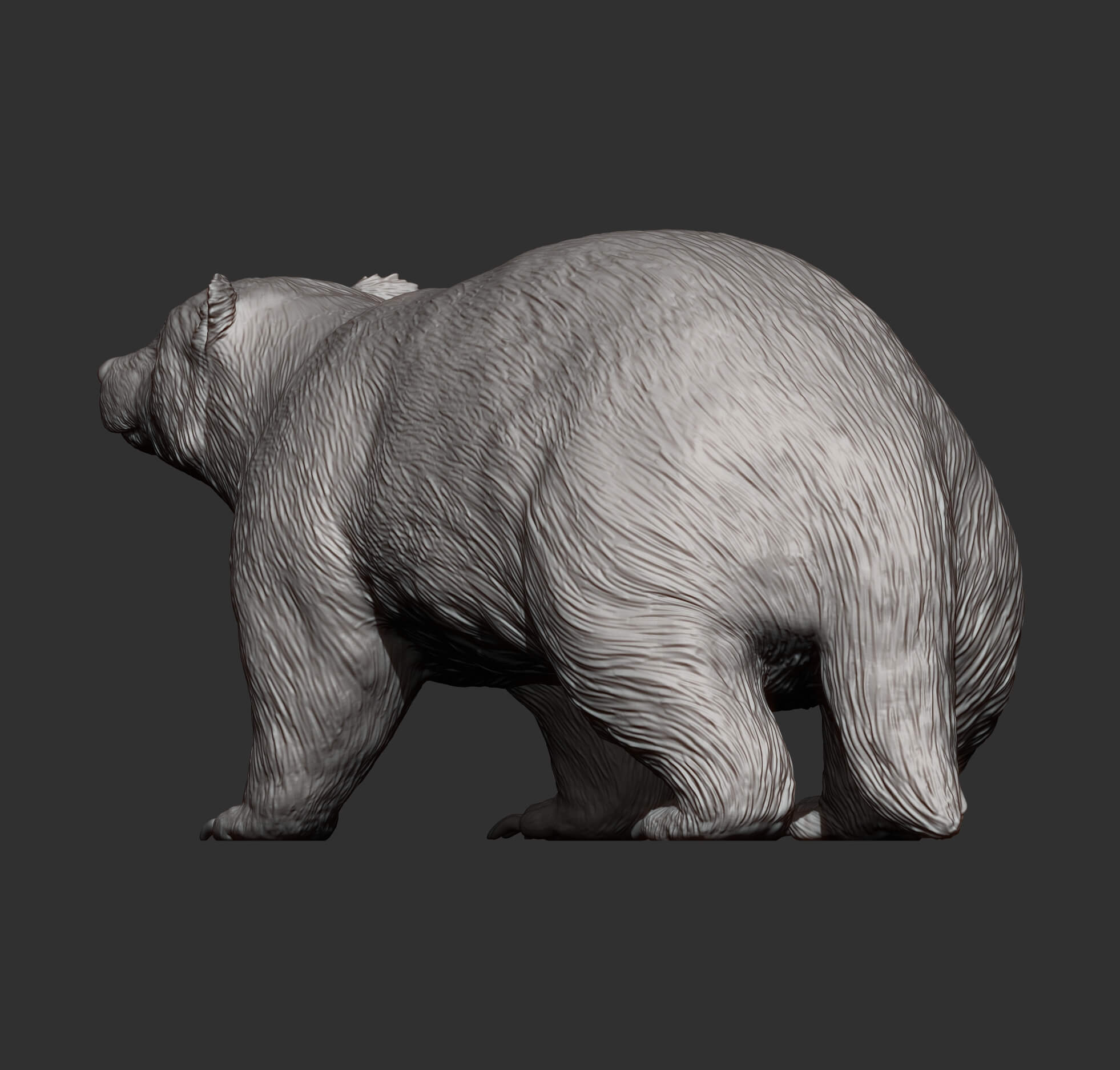 European Badger - 3D Model by Alexander3dart