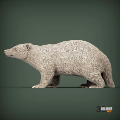 European Badger - 3D Model by Alexander3dart