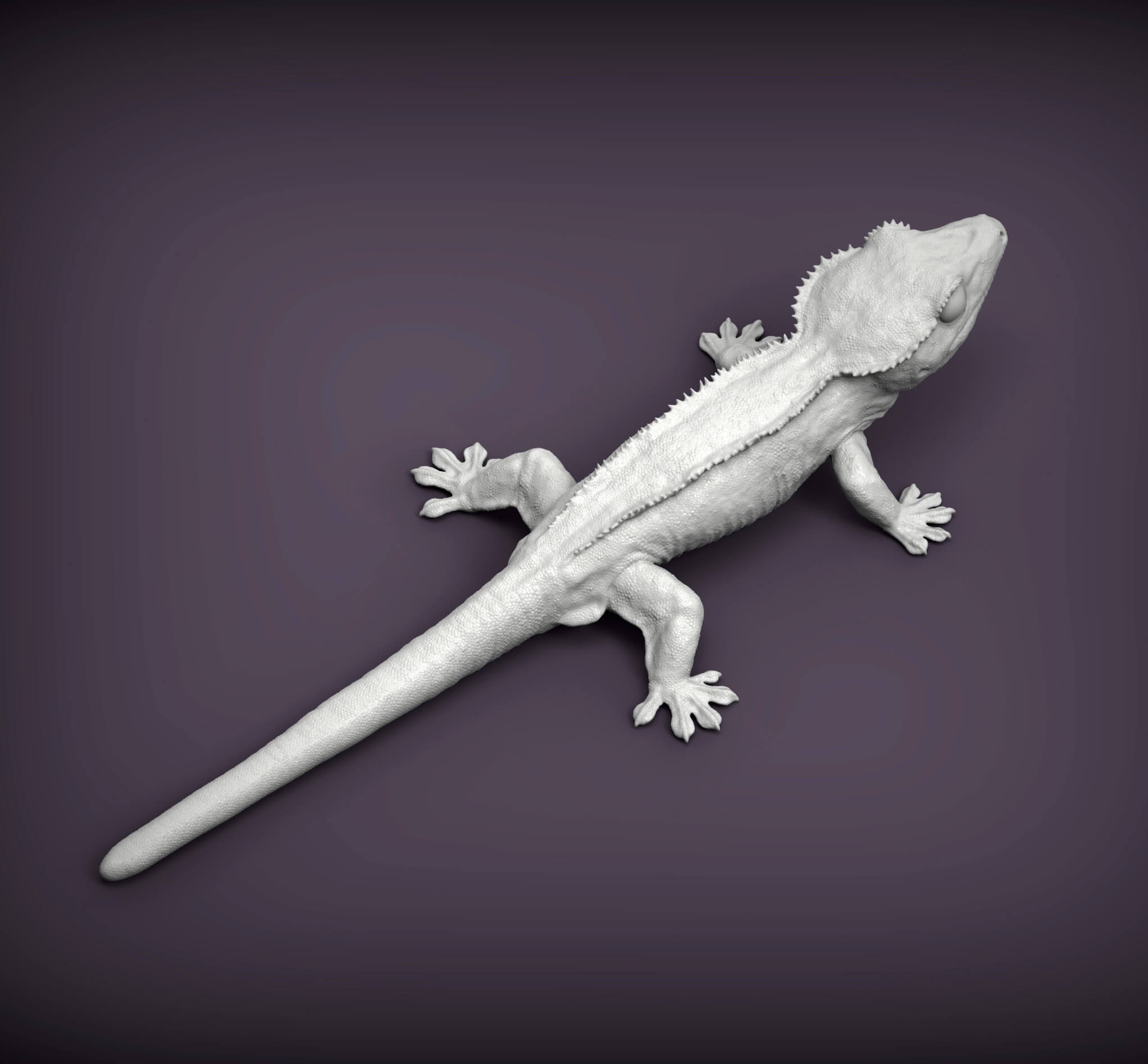 Eyelash Banana Gecko - 3D Model by Alexander3dart