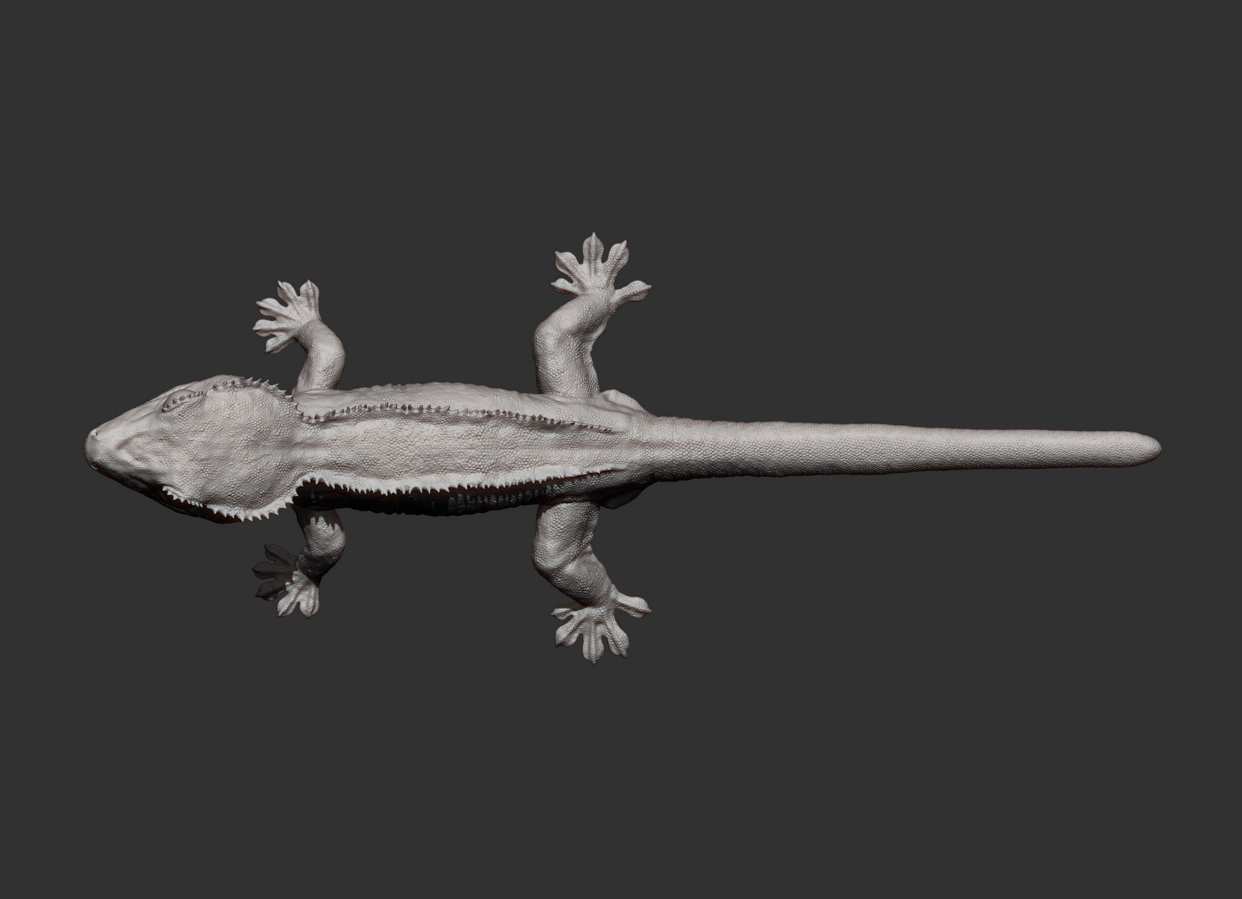 Eyelash Banana Gecko - 3D Model by Alexander3dart