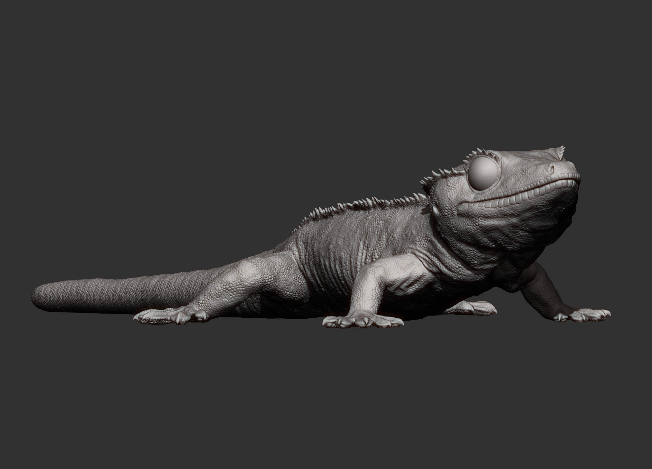 Eyelash Banana Gecko - 3D Model by Alexander3dart