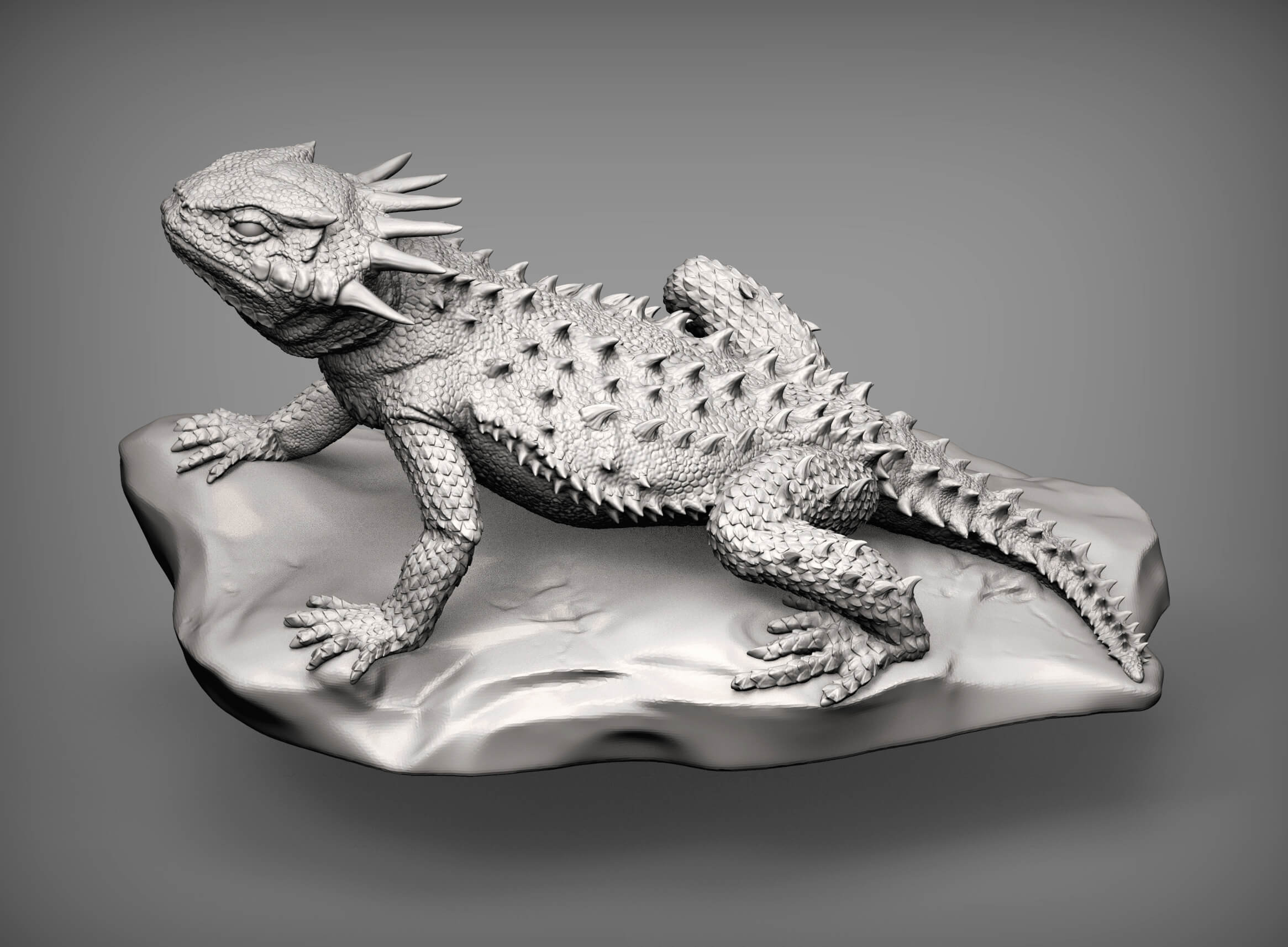 Flat-Horned Toad Lizard 3D Model by Alexander3dart