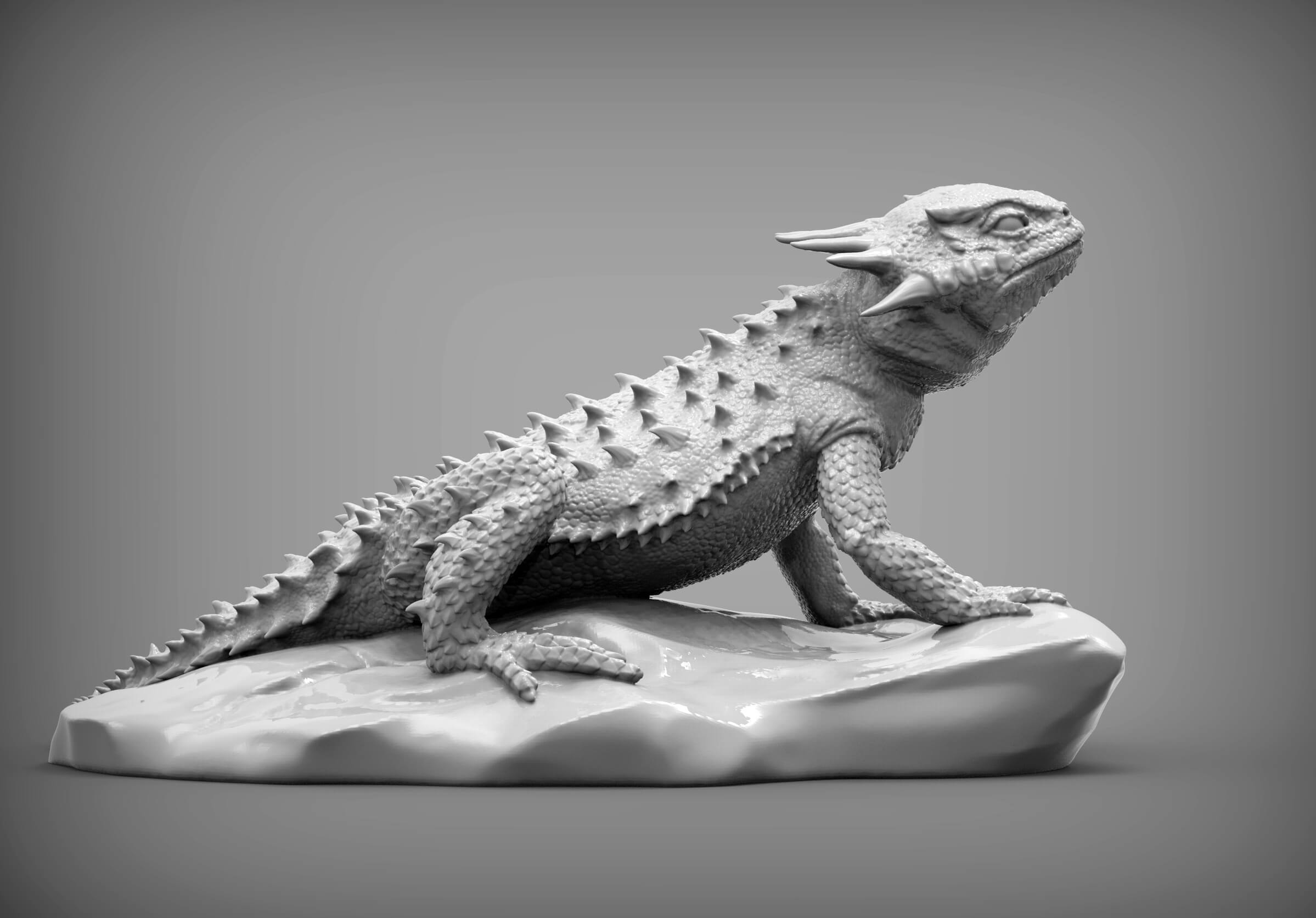 Flat-Horned Toad Lizard 3D Model by Alexander3dart