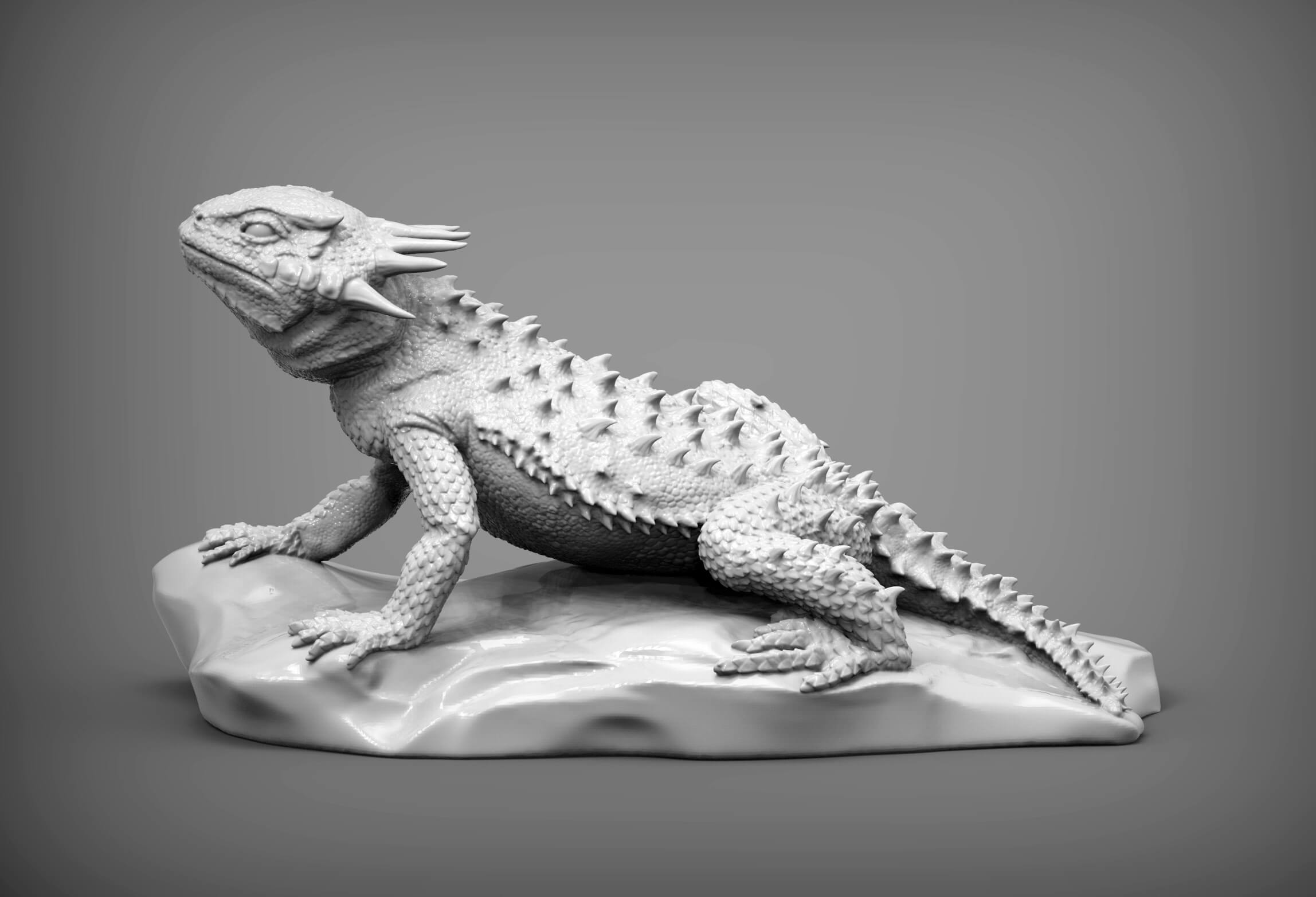 Flat-Horned Toad Lizard 3D Model by Alexander3dart