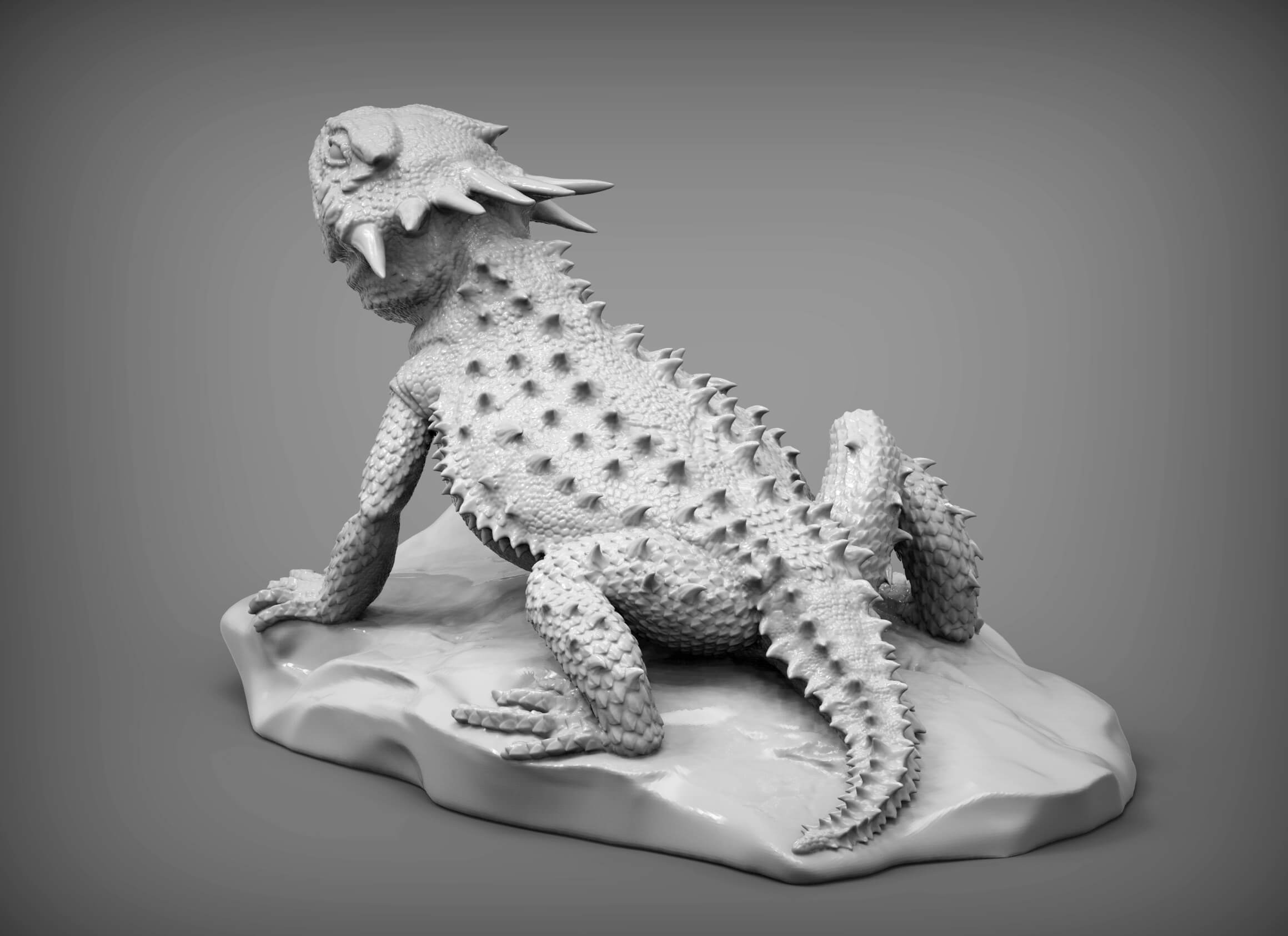 Flat-Horned Toad Lizard 3D Model by Alexander3dart