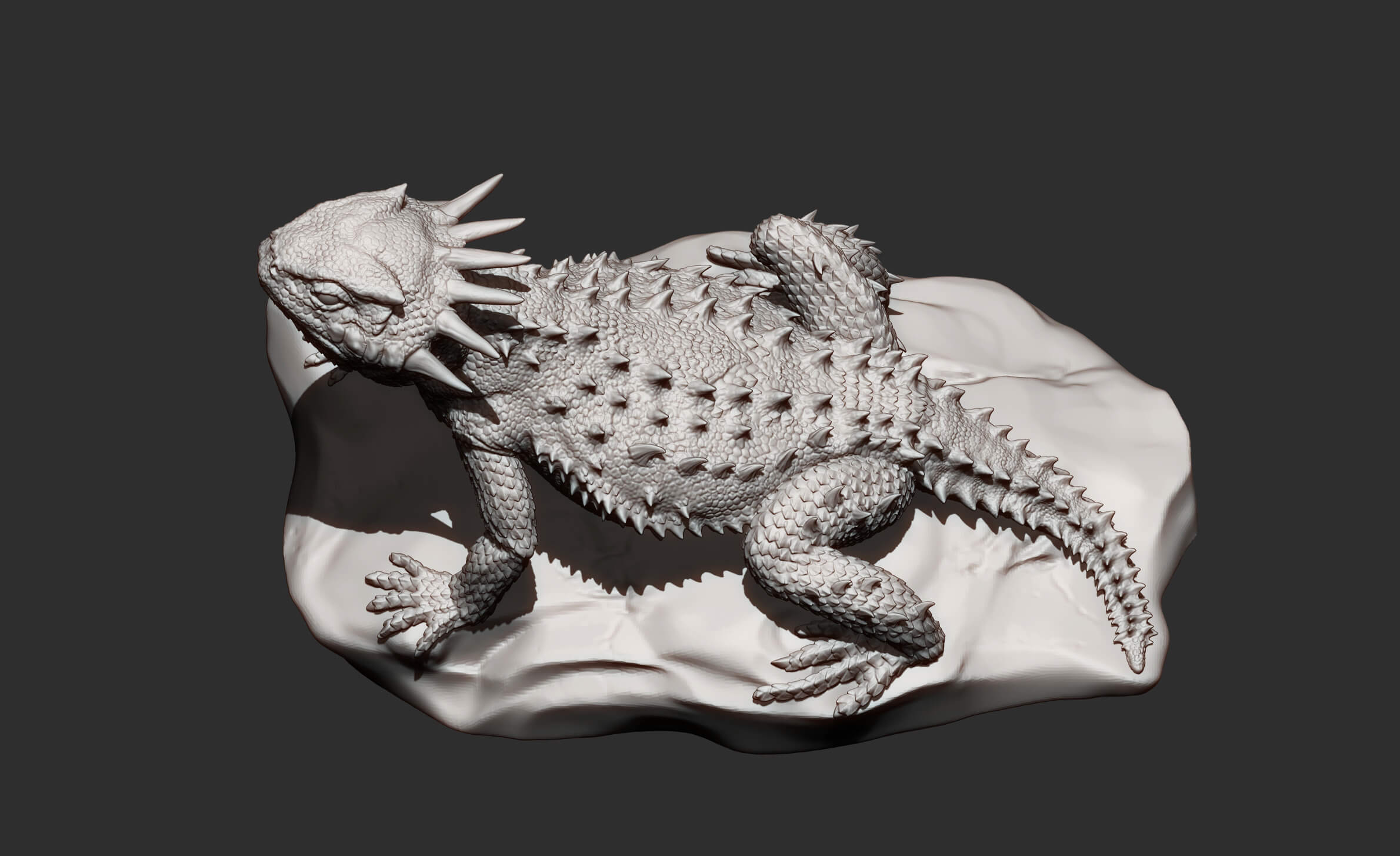 Flat-Horned Toad Lizard 3D Model by Alexander3dart