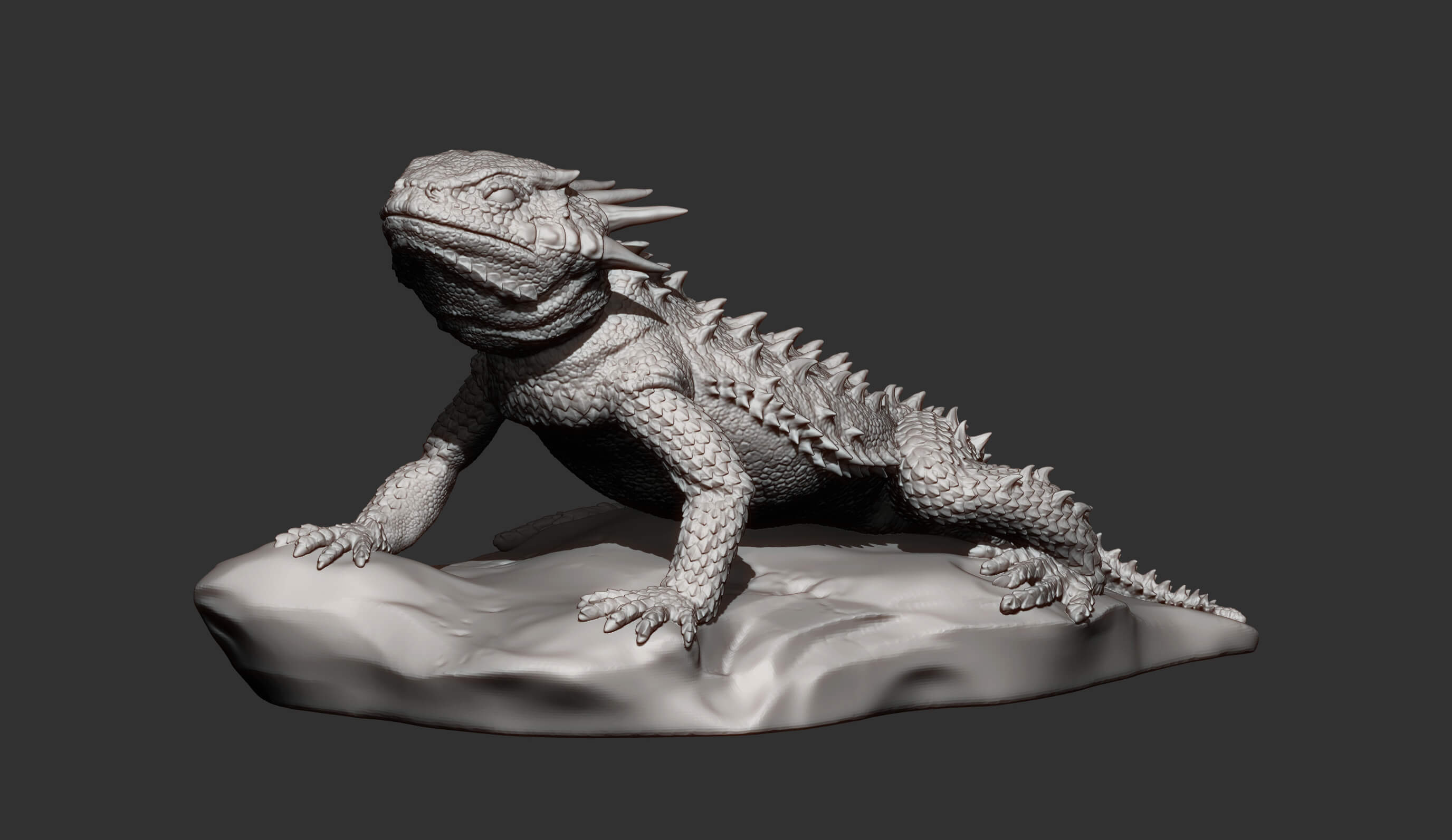 Flat-Horned Toad Lizard 3D Model by Alexander3dart