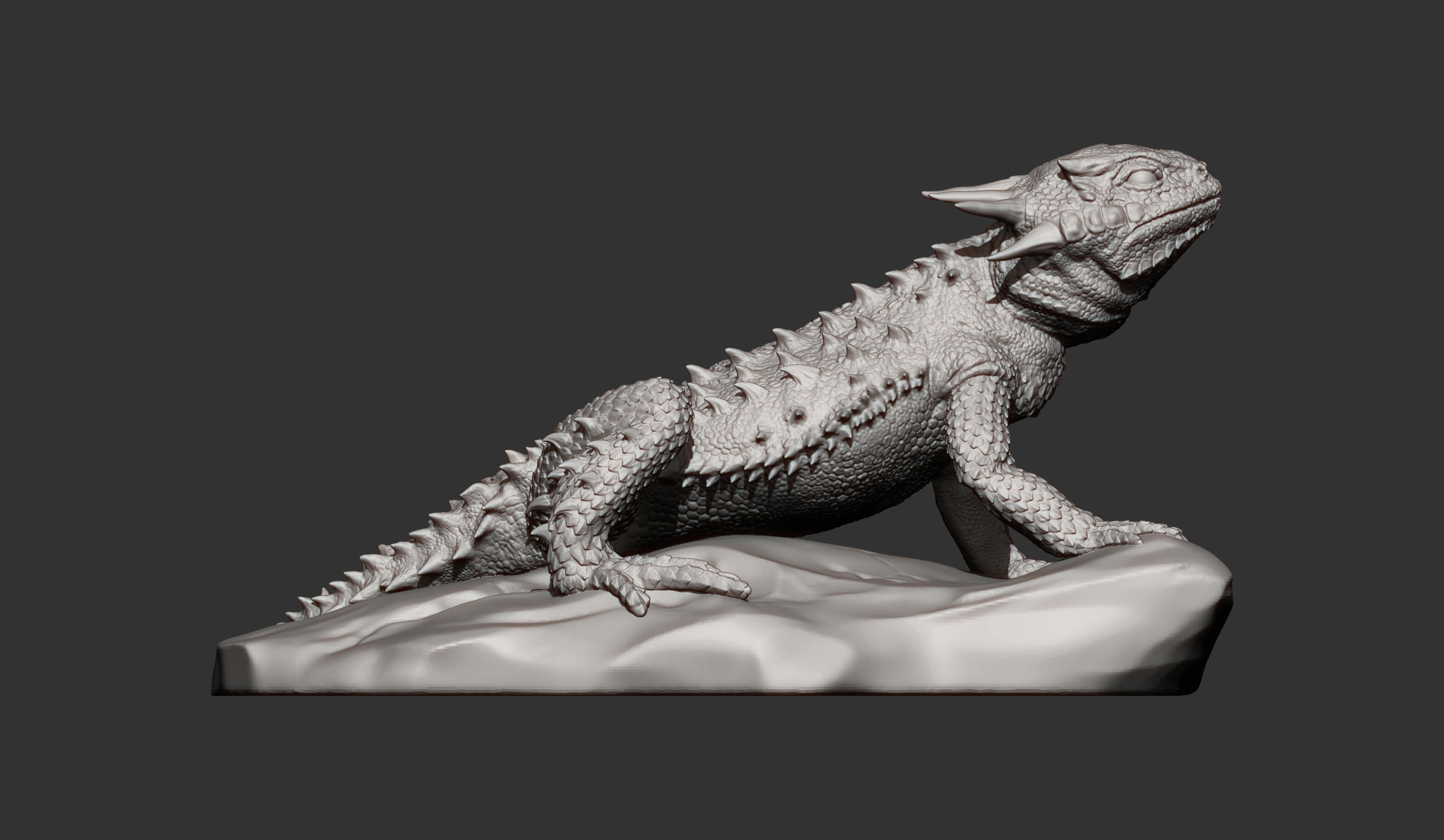 Flat-Horned Toad Lizard 3D Model by Alexander3dart
