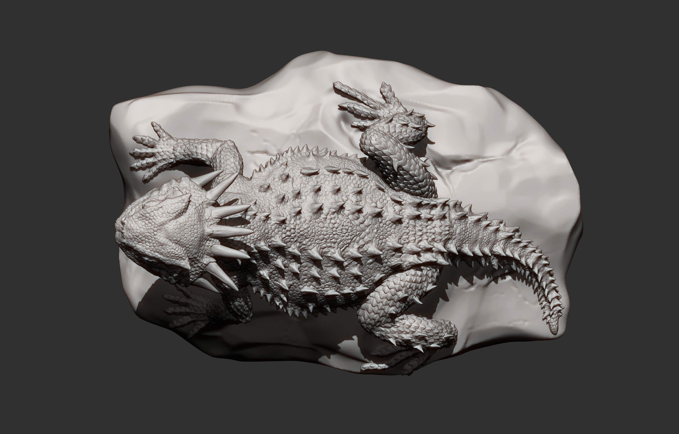 Flat-Horned Toad Lizard 3D Model by Alexander3dart