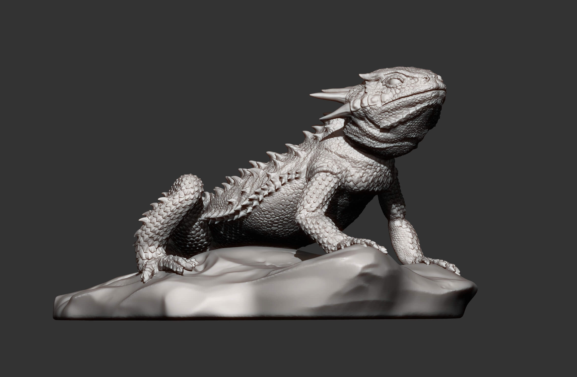 Flat-Horned Toad Lizard 3D Model by Alexander3dart