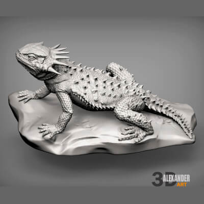Flat-Horned Toad Lizard 3D Model by Alexander3dart