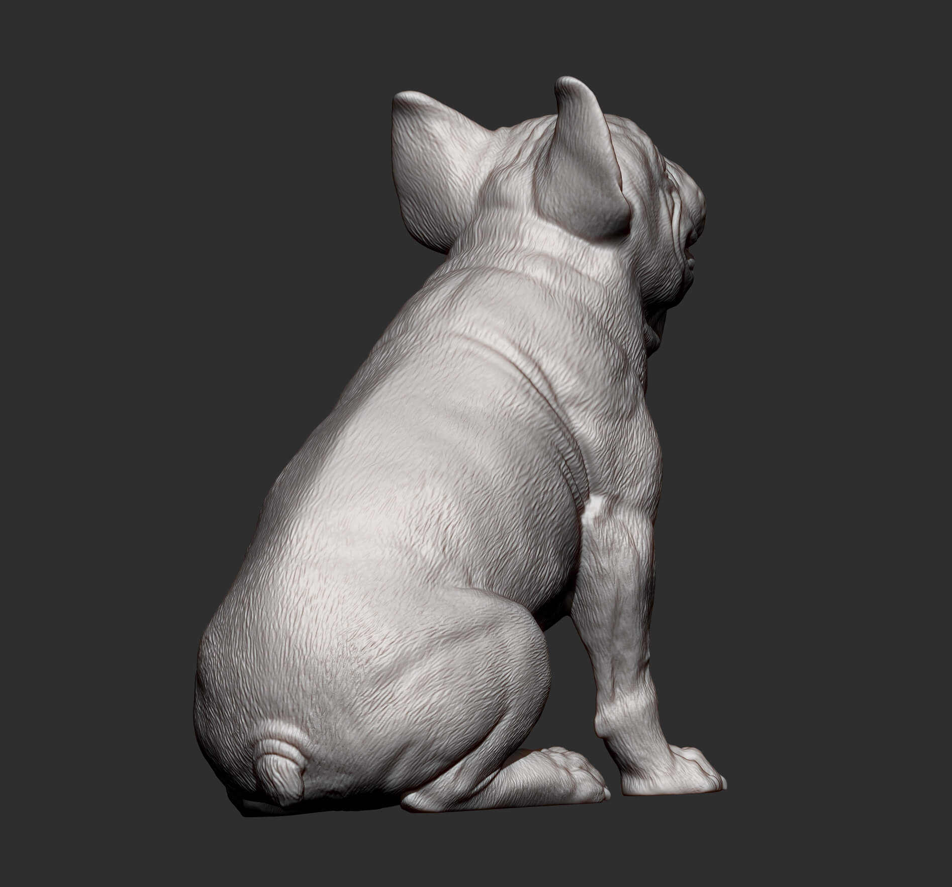 French Bulldog - 3D Model by Alexander3dart