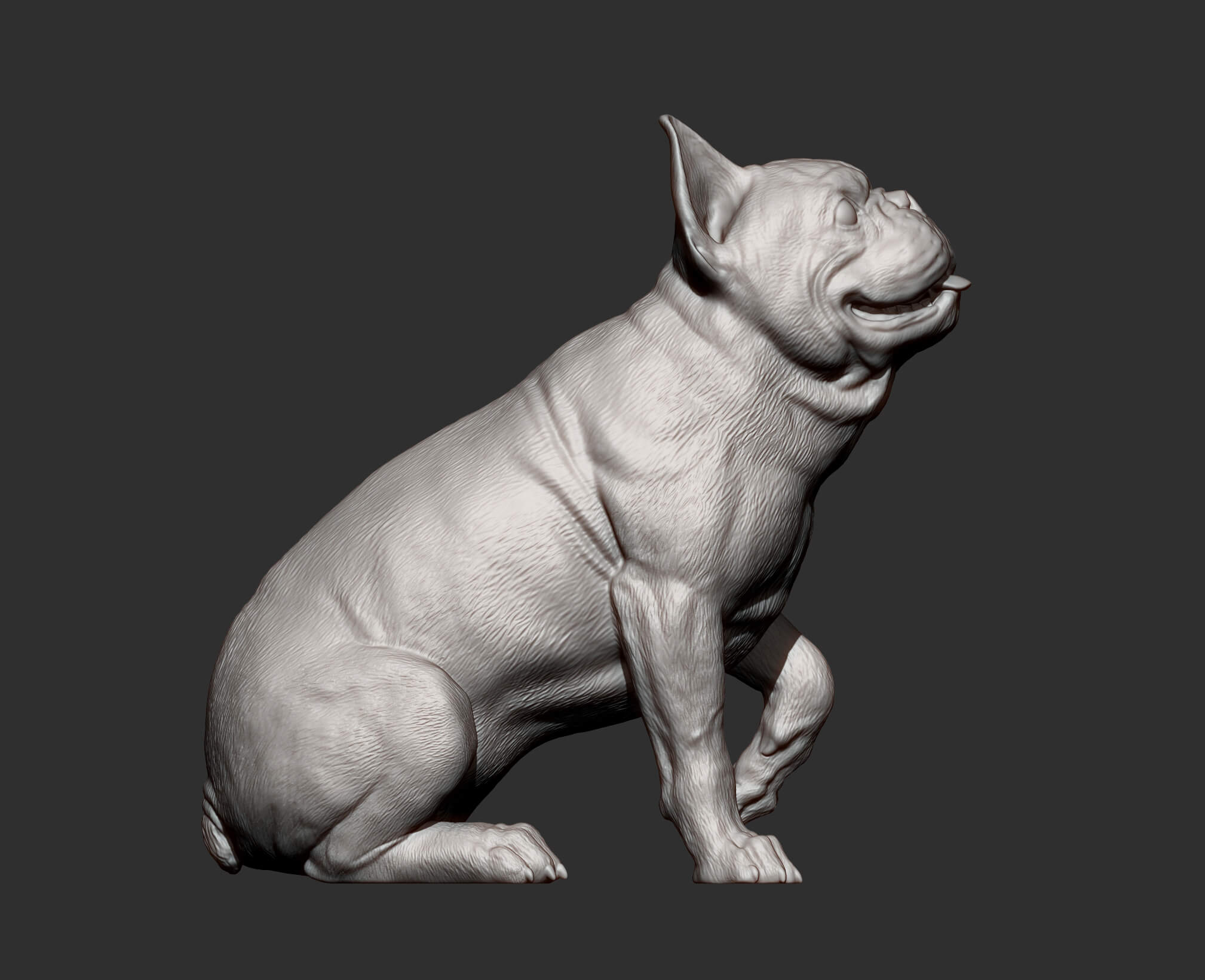 French Bulldog - 3D Model by Alexander3dart