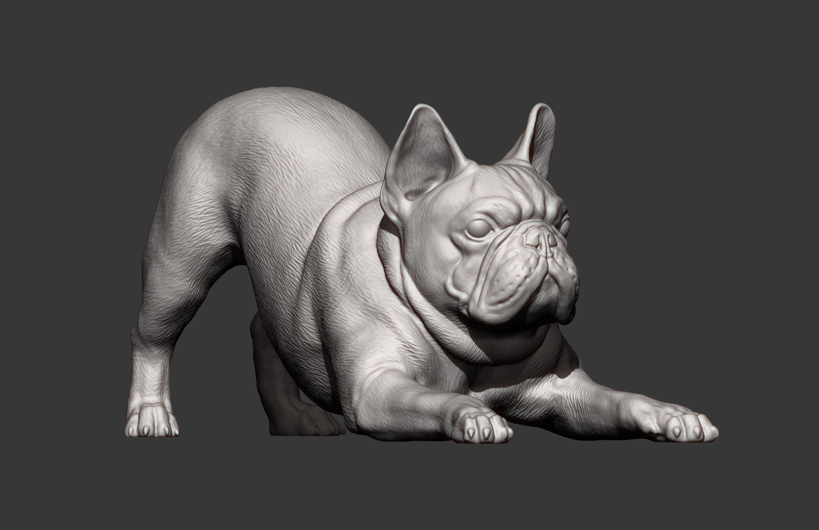 French Bulldog - 3D Model by Alexander3dart