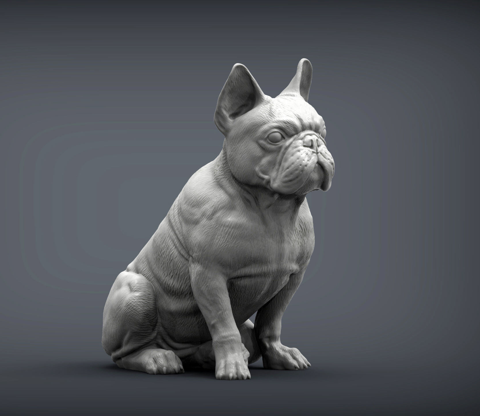 French Bulldog - 3D Model by Alexander3dart