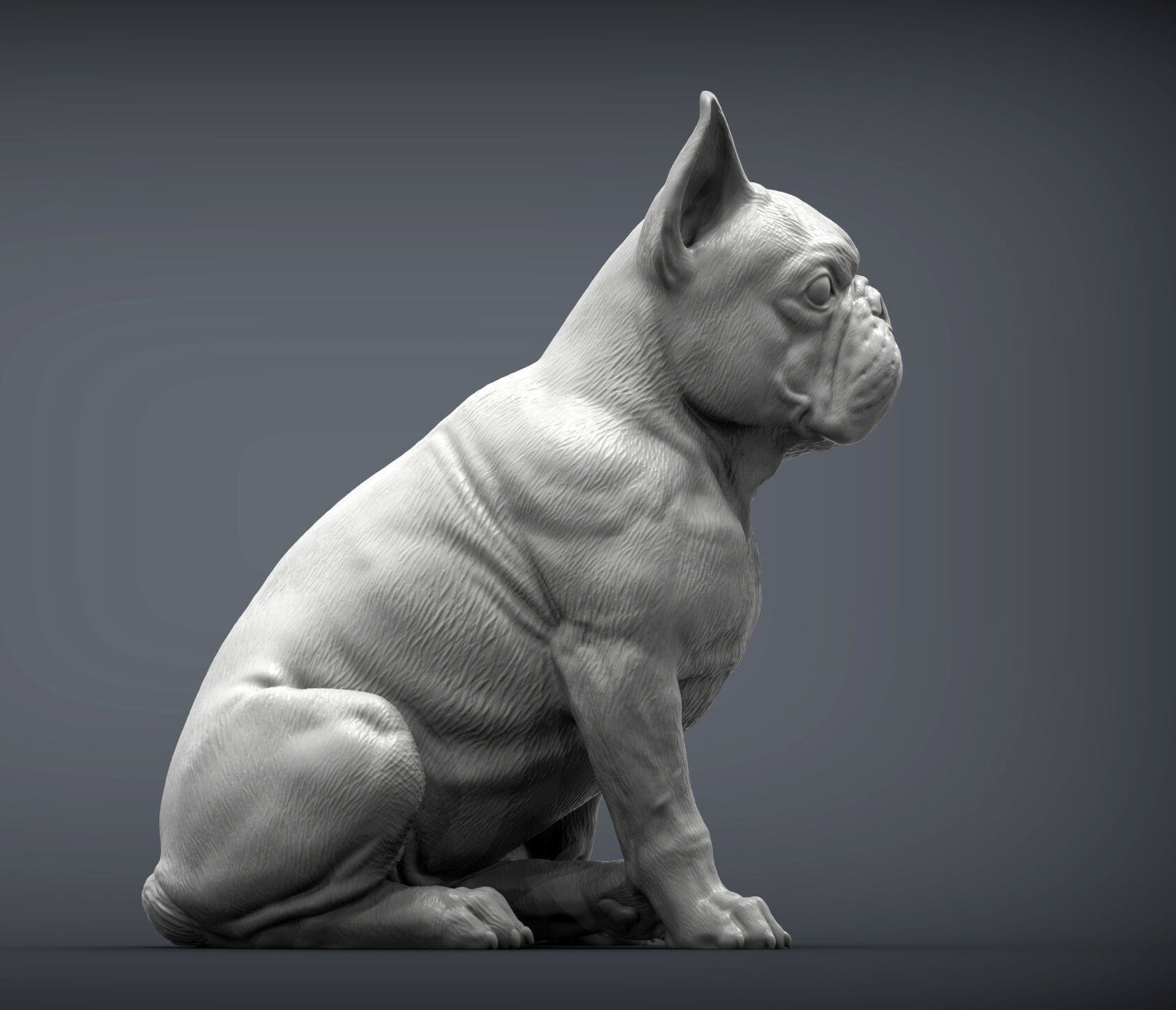 French Bulldog - 3D Model by Alexander3dart