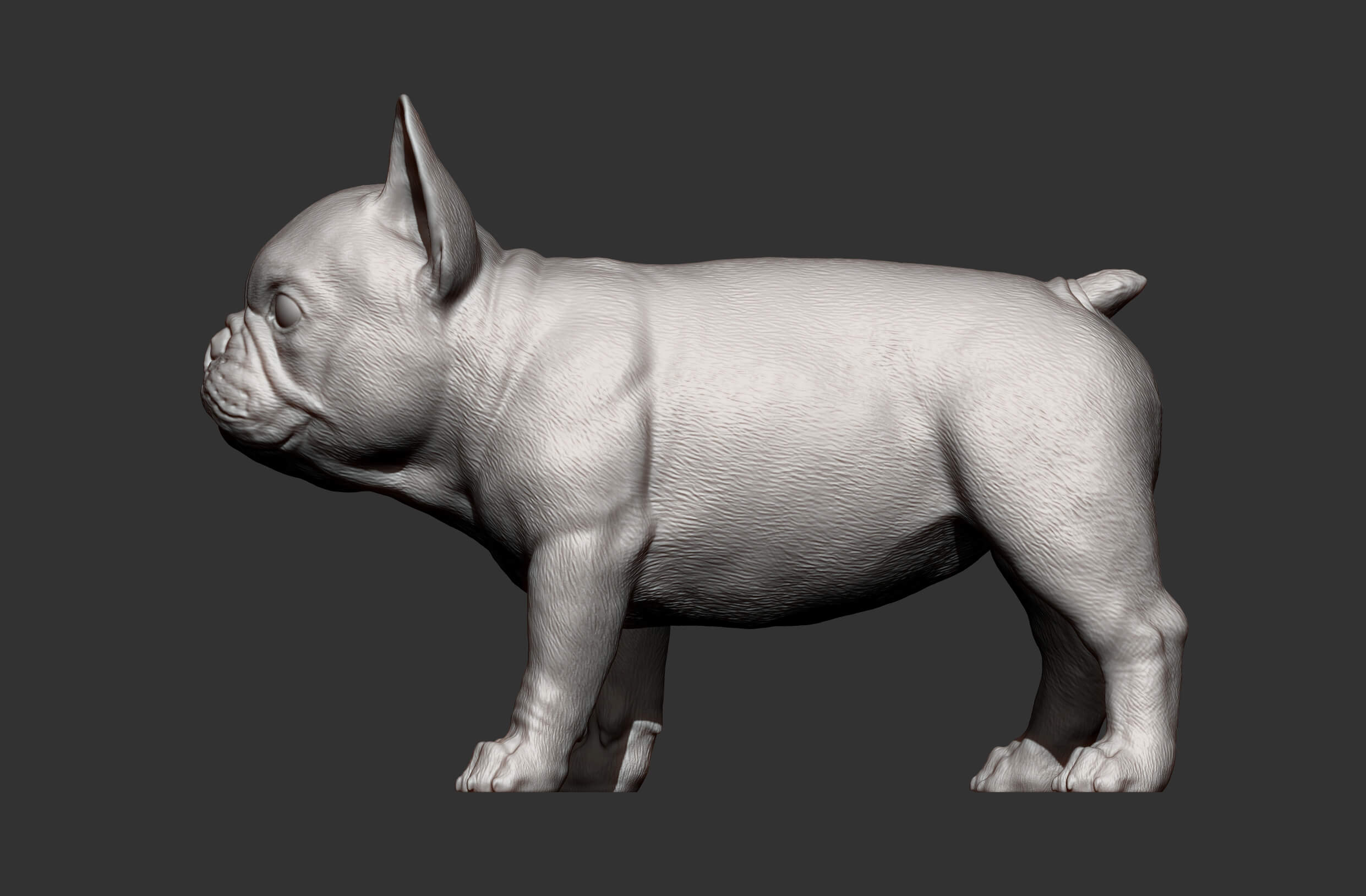French Bulldog Puppy 3D Print Model by Alexander3dart