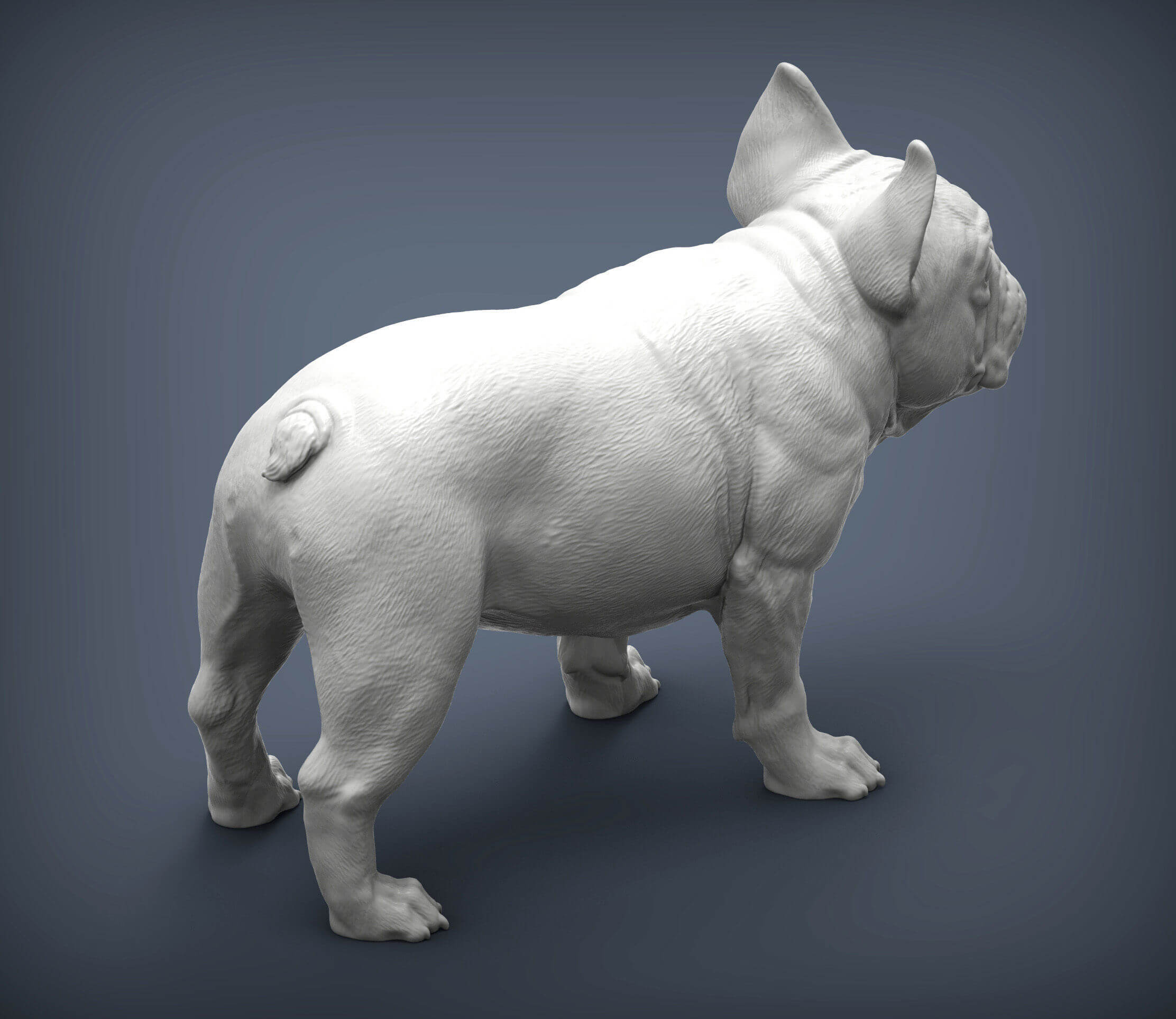 French Bulldog - 3D Model by Alexander3dart